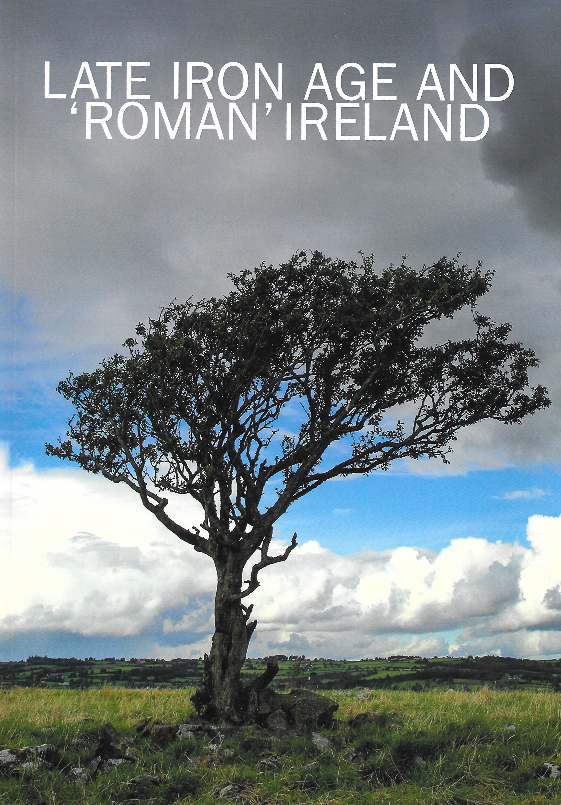 Late Iron Age and 'Roman' Ireland: Discovery Programme Reports 8 ...