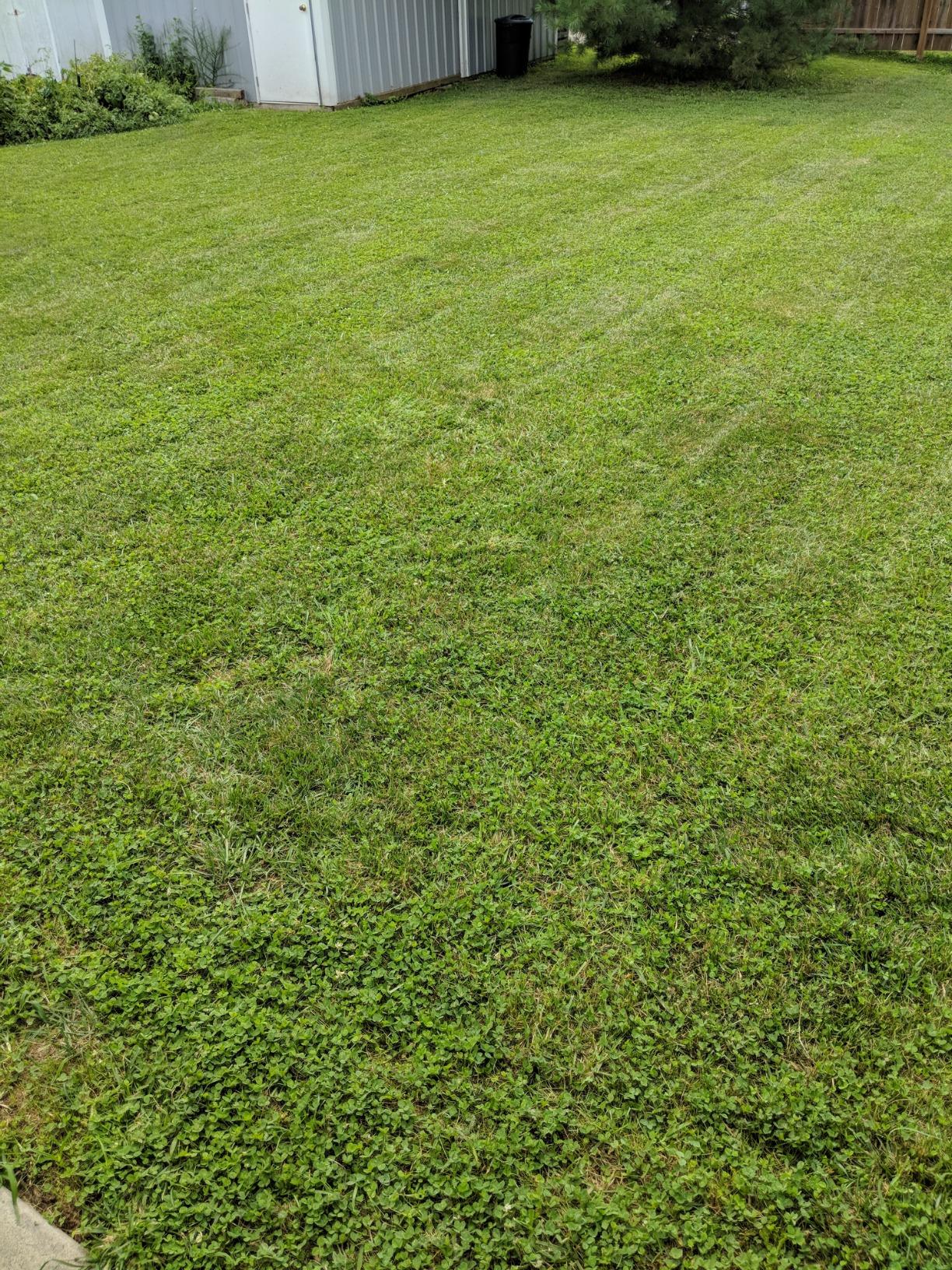 Amazon.com: Ryobi RY40180 40V Brushless Lithium-Ion Cordless Electric ...