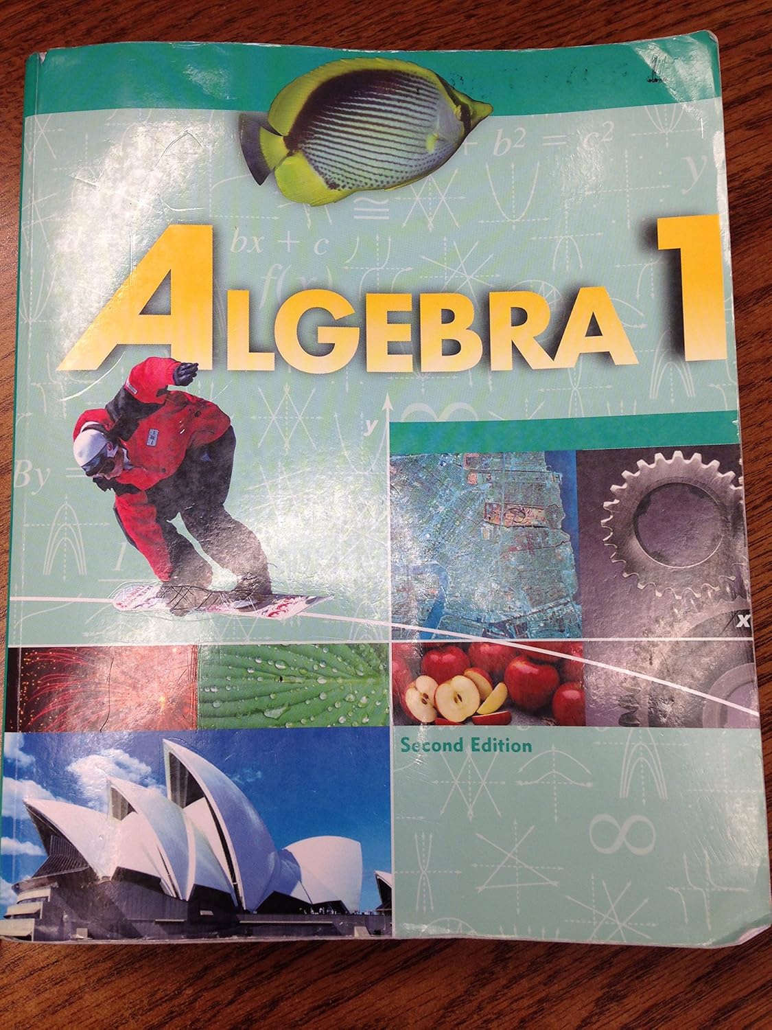 Algebra 1 Student Text: Ron Tagliapietra, Kathy D. Pilger ...