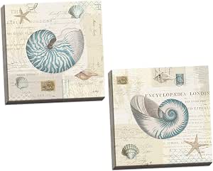 Amazon.com: Gango Home Décor Beautiful Nautilus Sea Shells and Starfish ...
