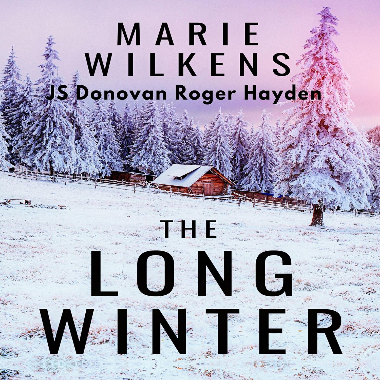 Amazon.com: The Long Winter: Small Town EMP Survival in a Powerless ...