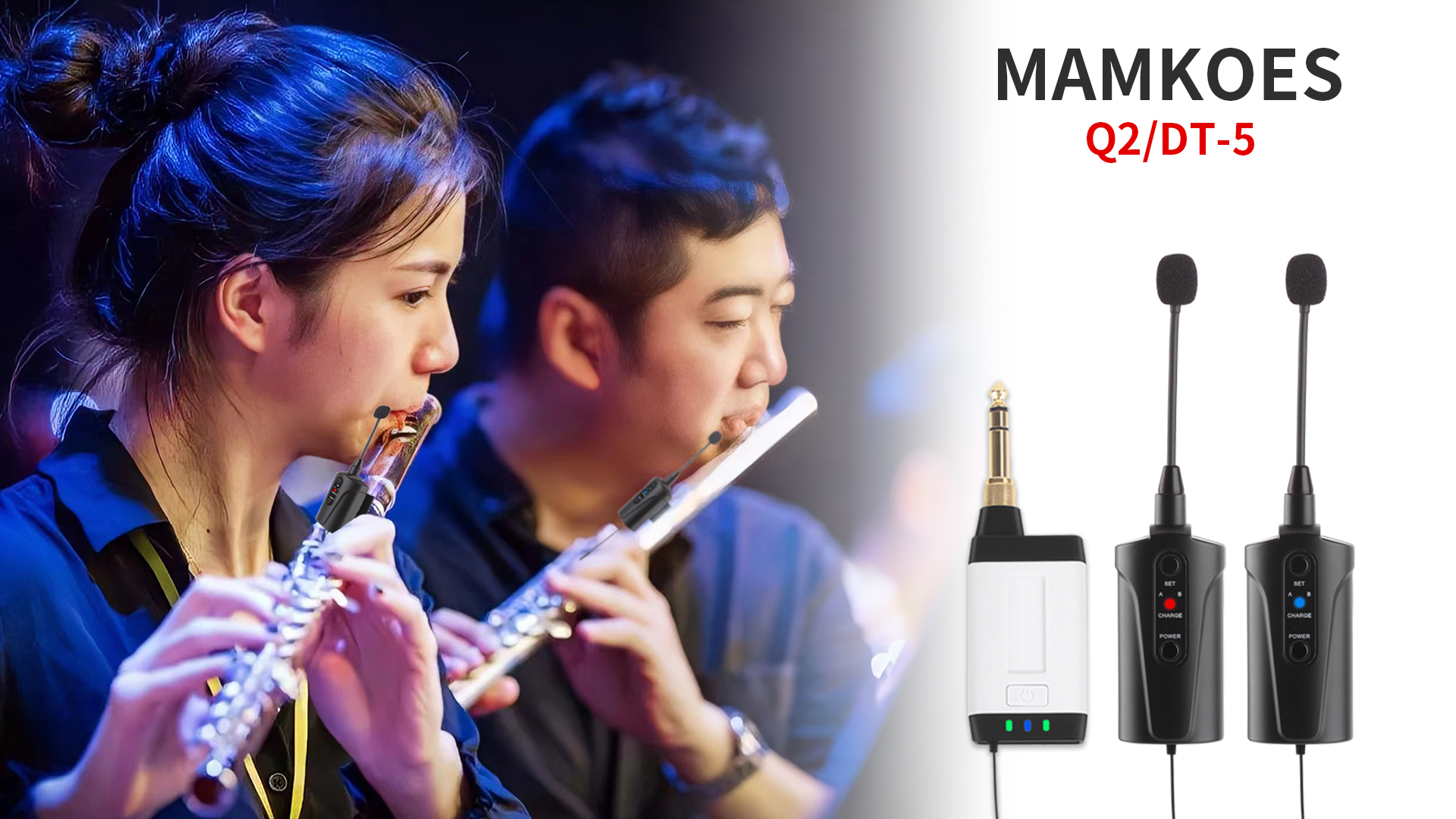 Watch Q2/DT-5 Flute Microphone Wireless Mic Pick Up for Flute on Amazon ...
