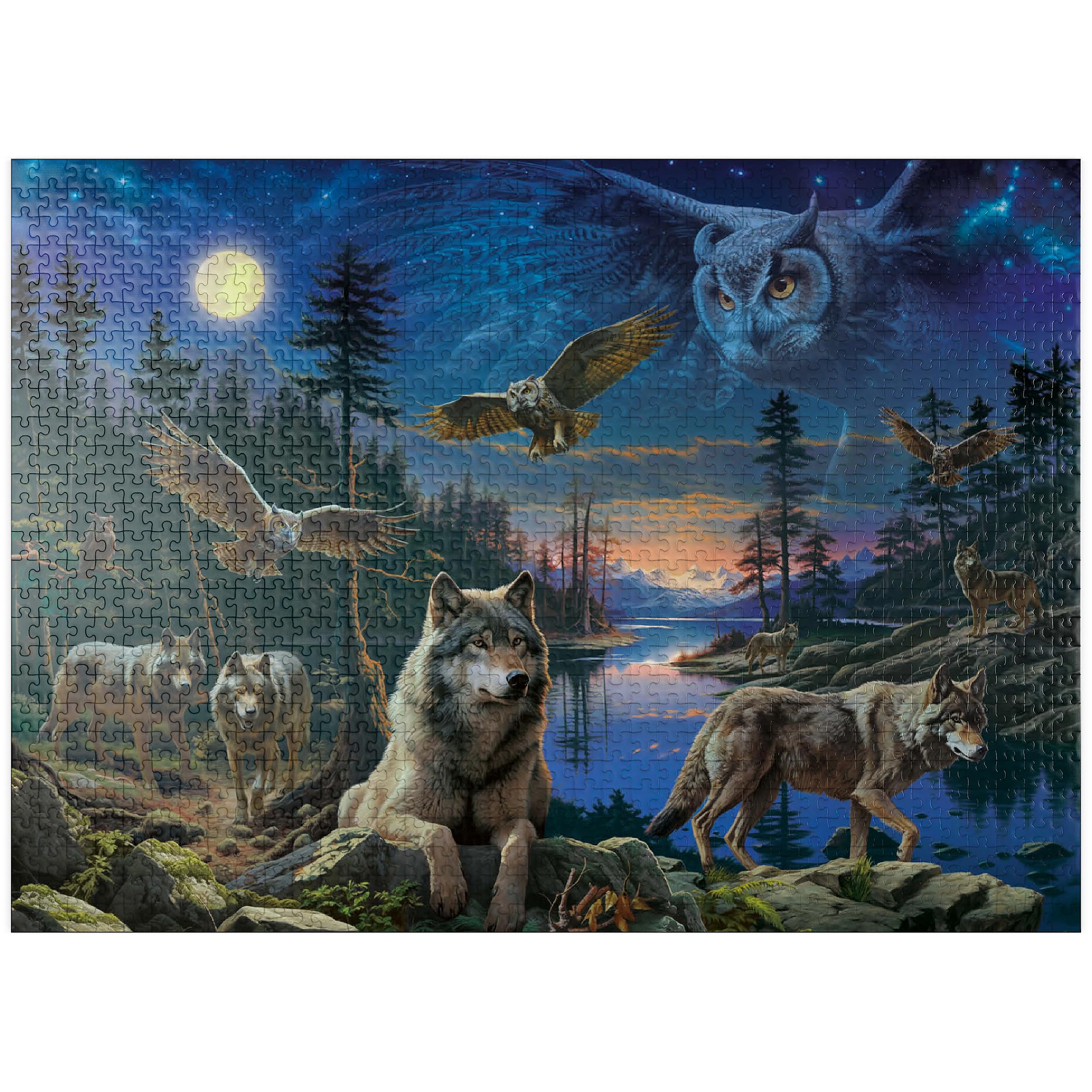 Amazon.com: MyPuzzle Night Wolves & Owls - Premium 1000 Piece Jigsaw ...
