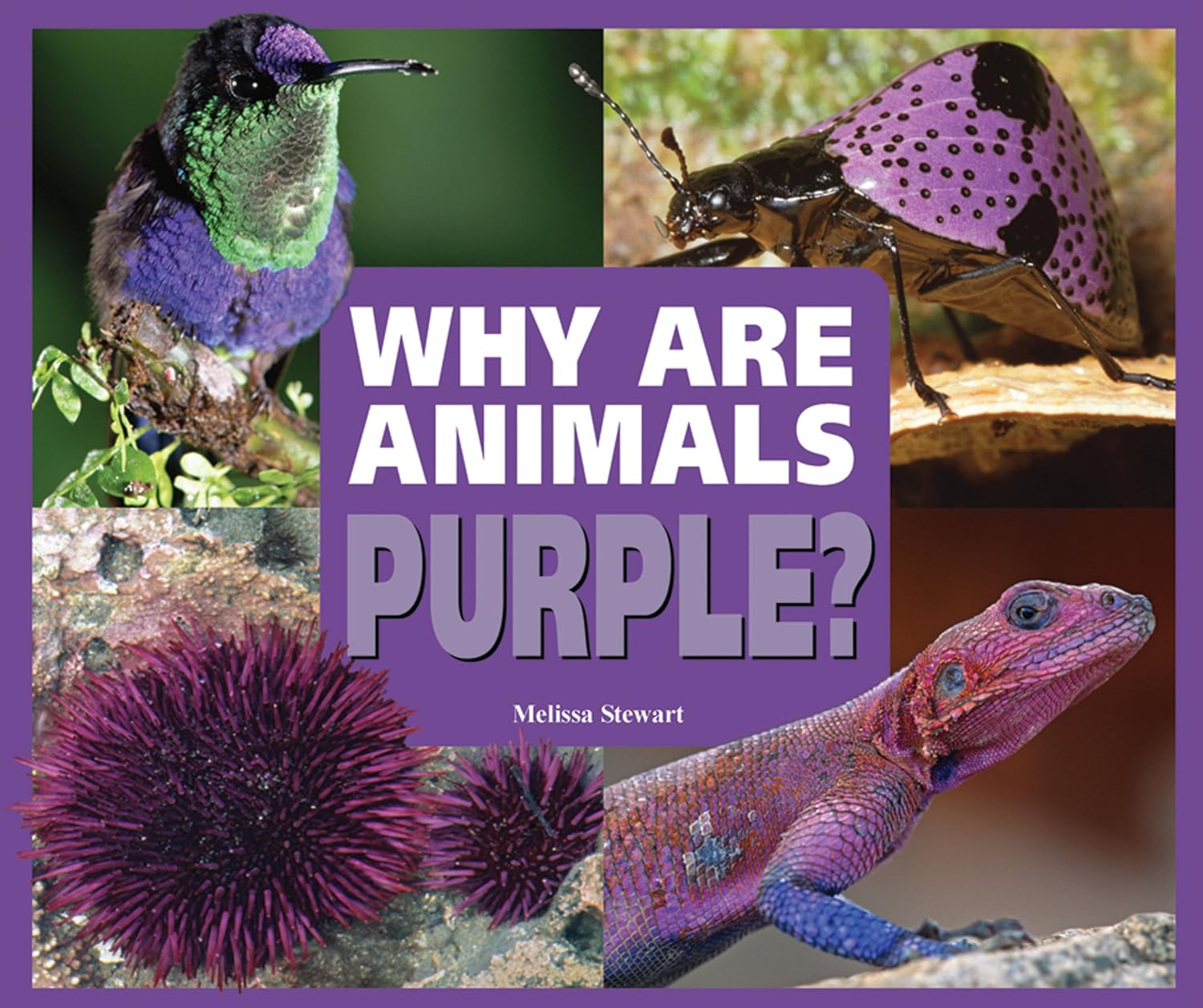 Amazon.com: Why Are Animals Purple? (Rainbow of Animals): 9780766032545 ...