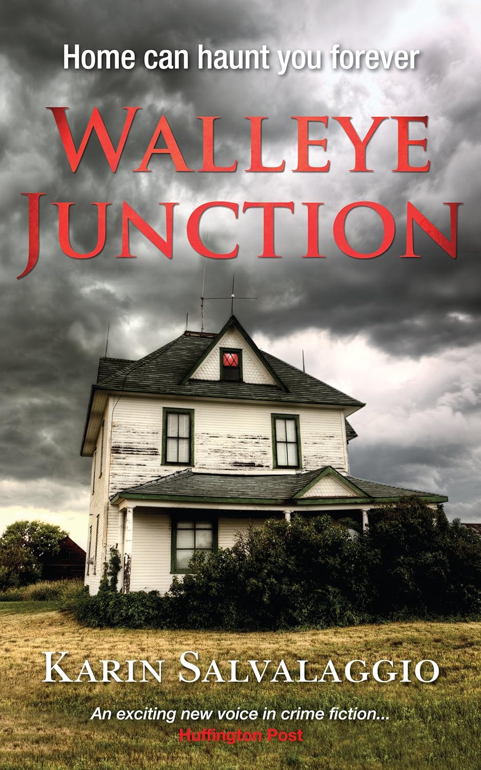 Amazon.com: Walleye Junction eBook : Salvalaggio, Karin: Kindle Store