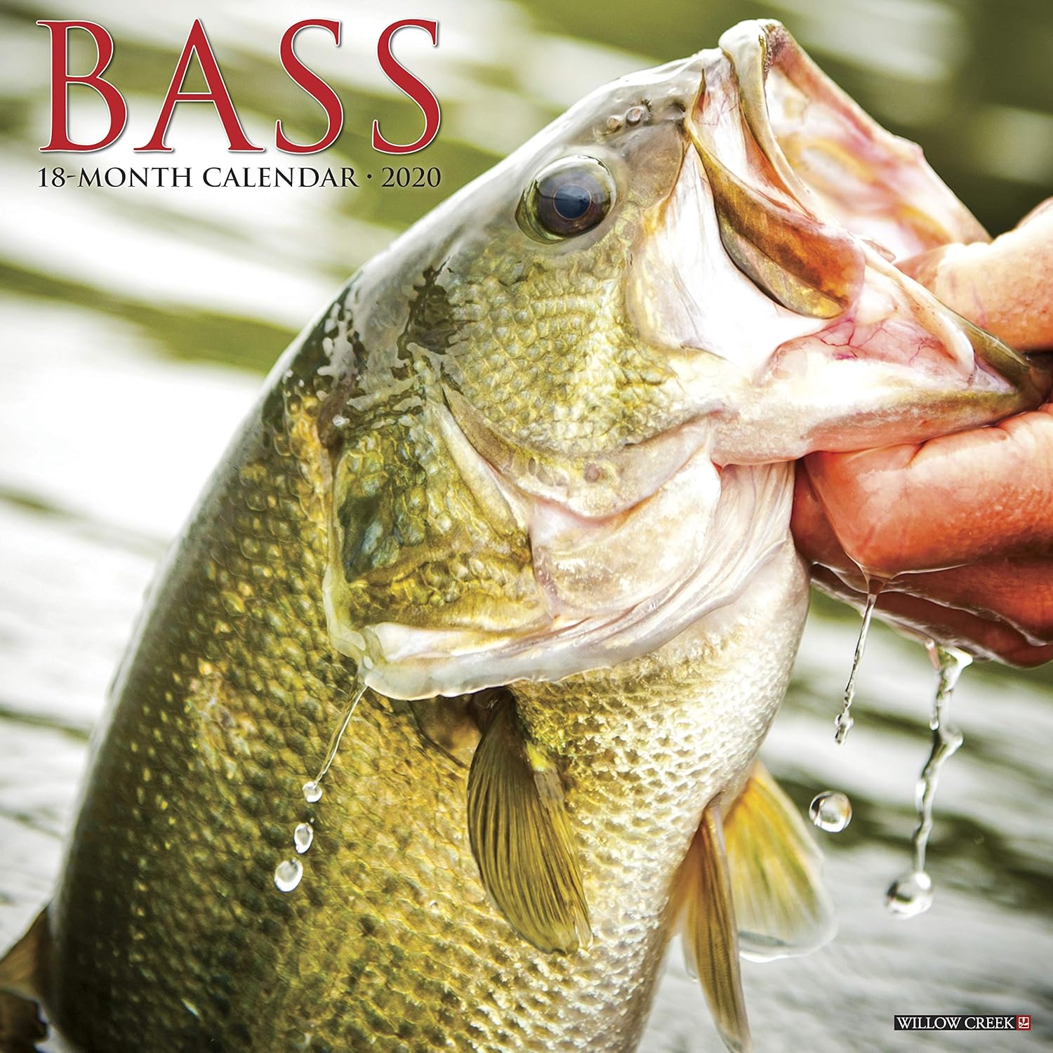Amazon.com: Bass 2020 Wall Calendar: 9781549205309: Willow Creek Press ...