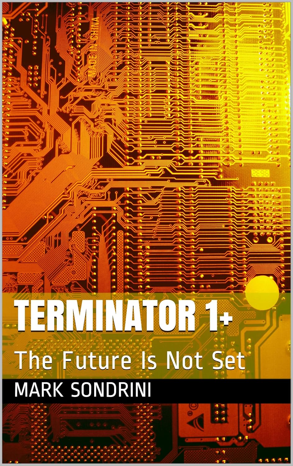 Amazon.com: Terminator 1+: The Future Is Not Set eBook : Sondrini, Mark ...
