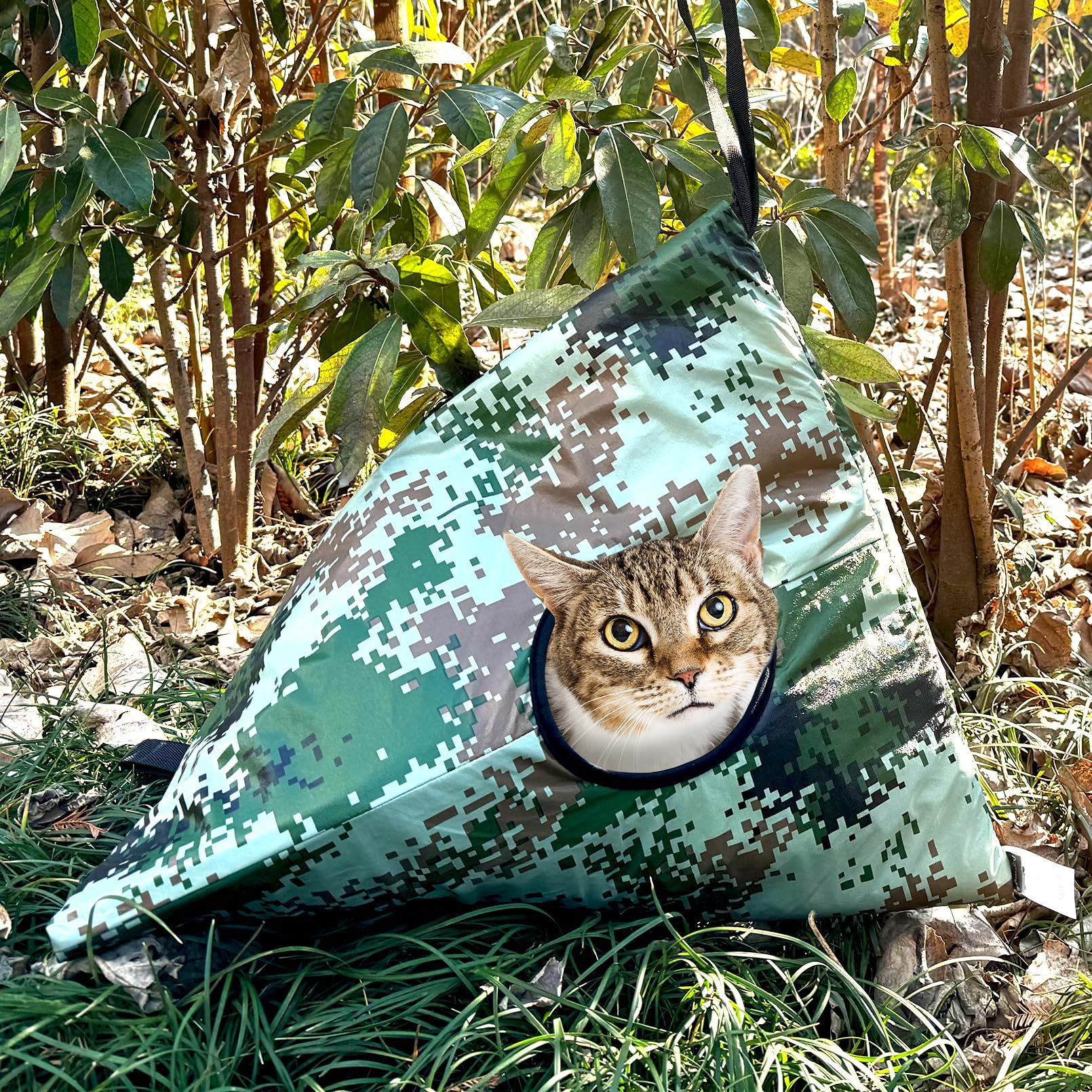 Amazon.com : Apatal Stray Cat Shelter Weatherproof Warm Feral Cat House ...