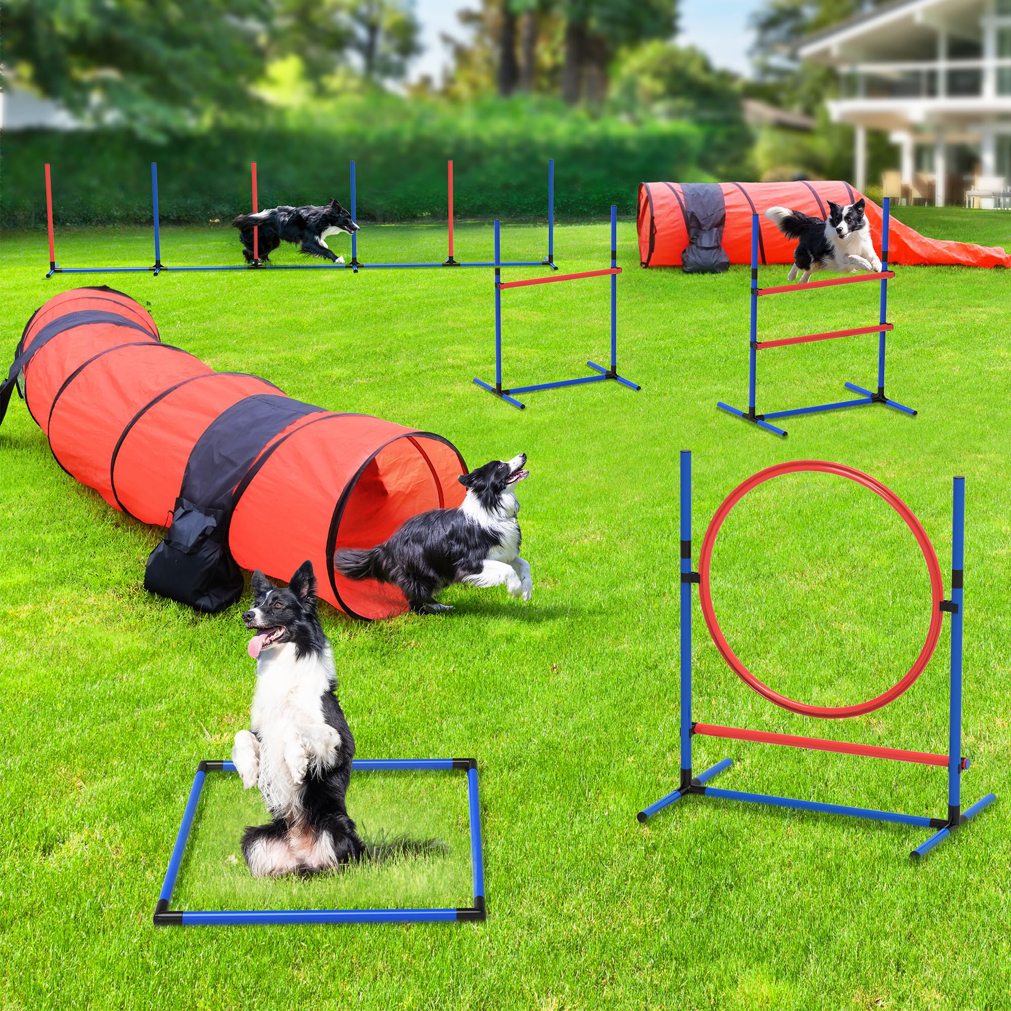 Snapklik.com : Dog Agility Equipments, Includes Flirt Pole Toy, 3 ...