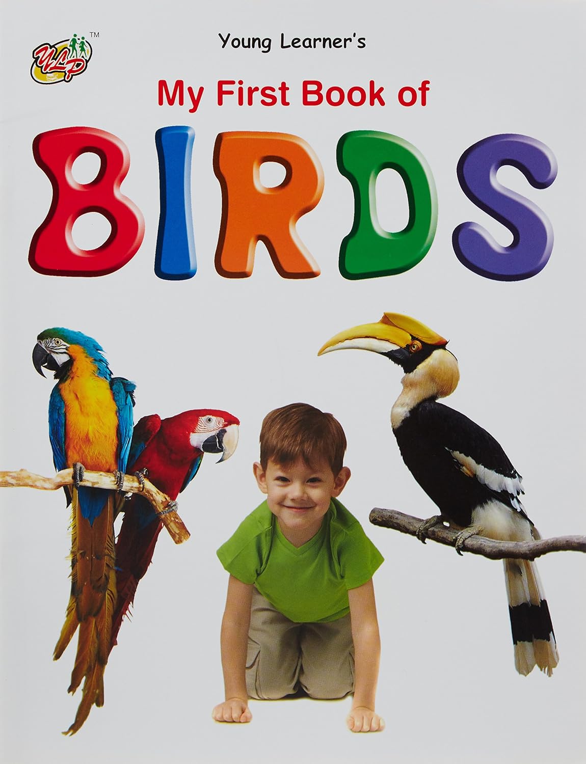 My First Book of Birds: Various: 9789380025292: Amazon.com: Books