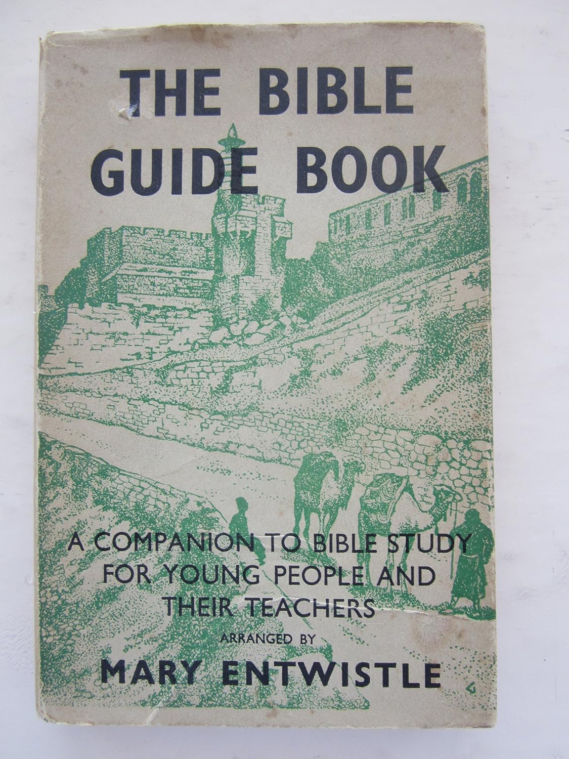 The Bible guide book: A companion to Bible study for young people and ...