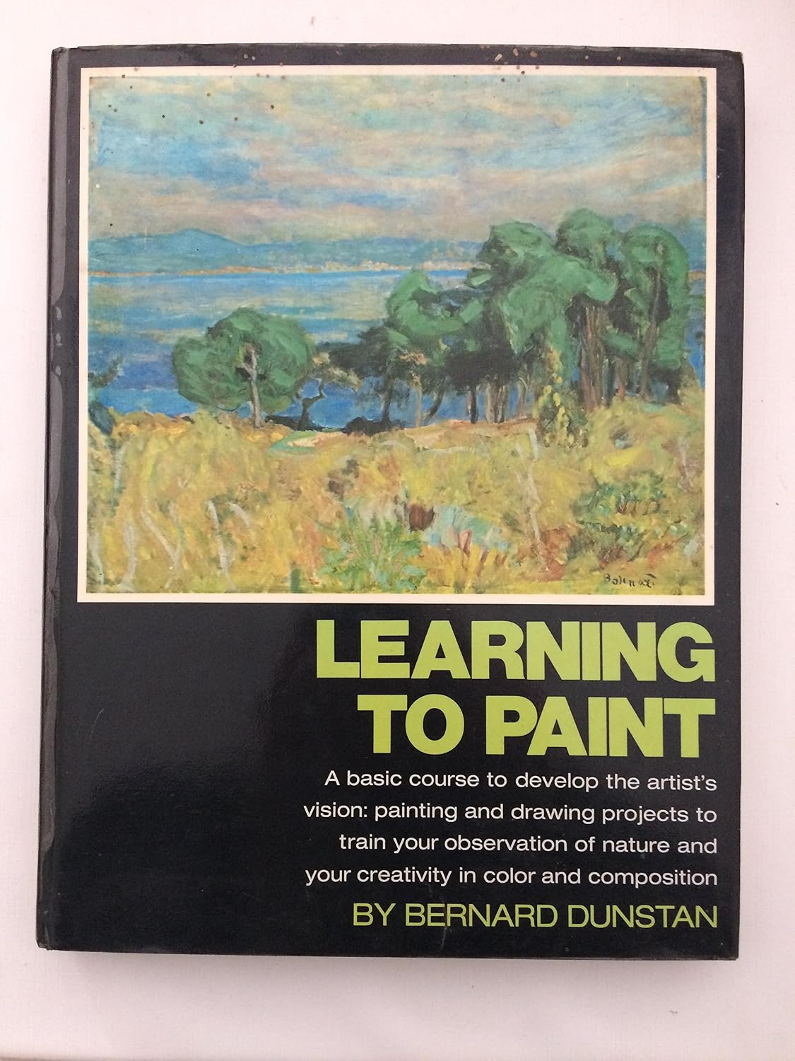 Learning to Paint: Bernard Dunstan: 9780273318033: Amazon.com: Books