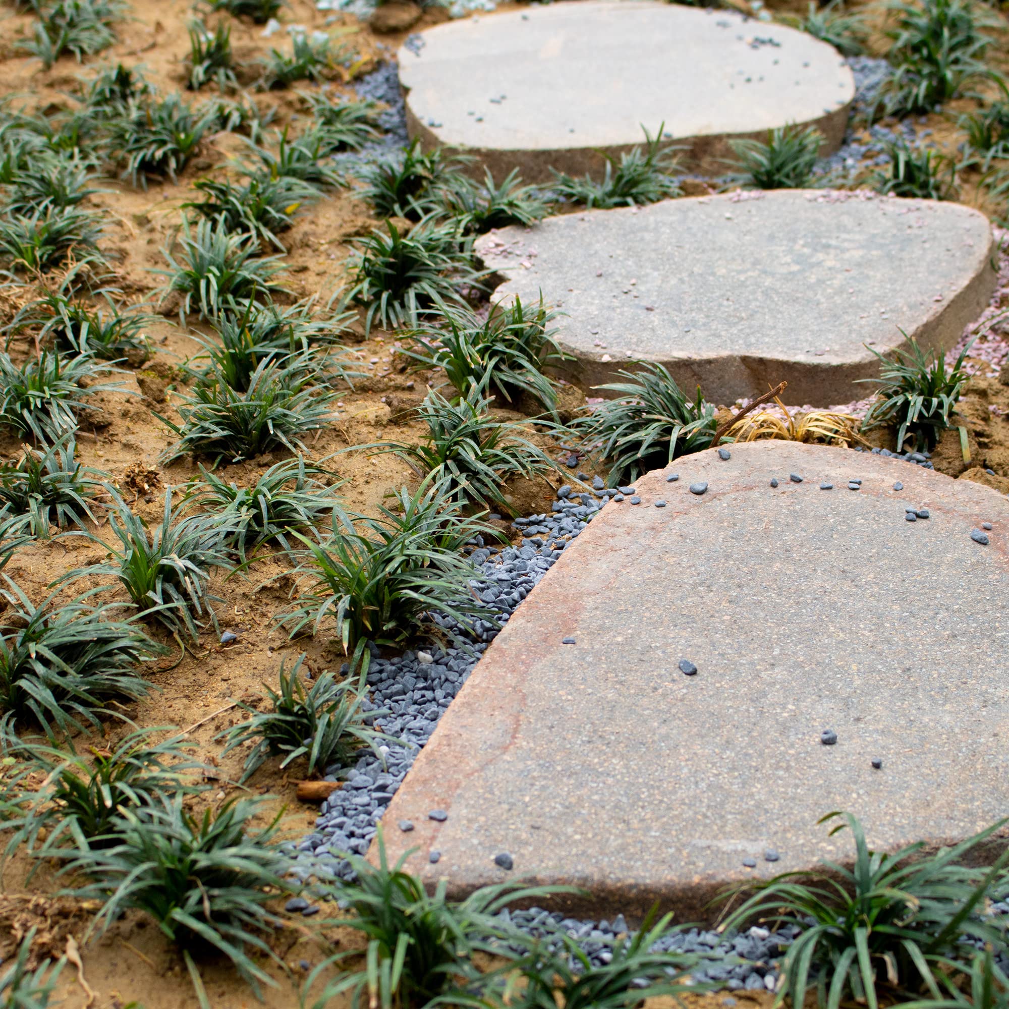 Anothera Stones for Plants Smooth Natural Black River Rocks,7LB Plant ...