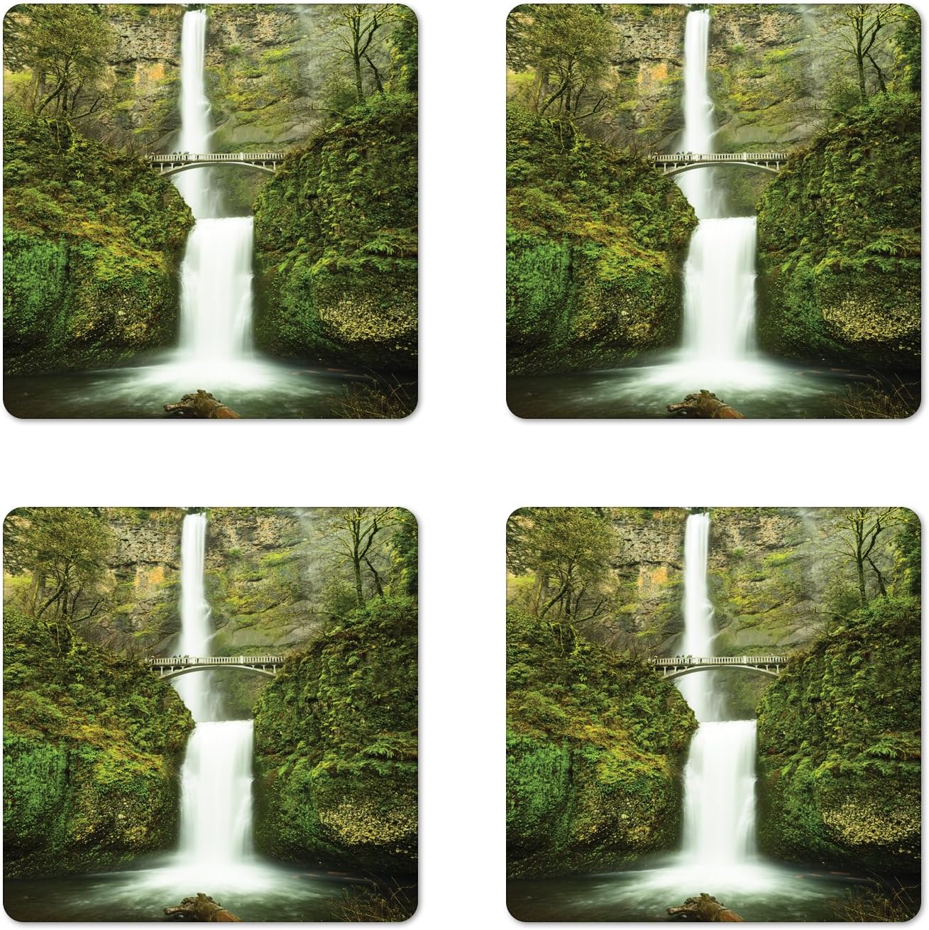 Amazon.com: Ambesonne Jungle Coaster Set of 4, Falls Bridge Nature ...
