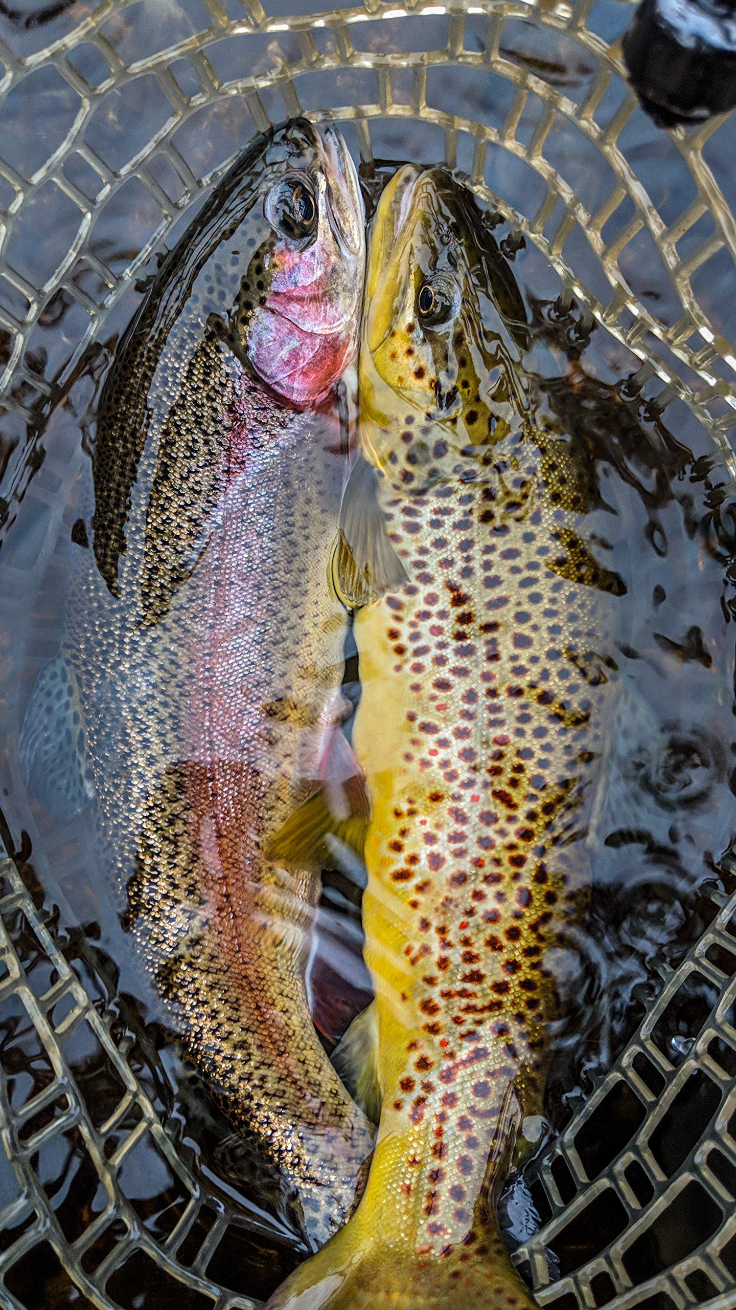 wade rods,Save up to 18%,www.ilcascinone.com