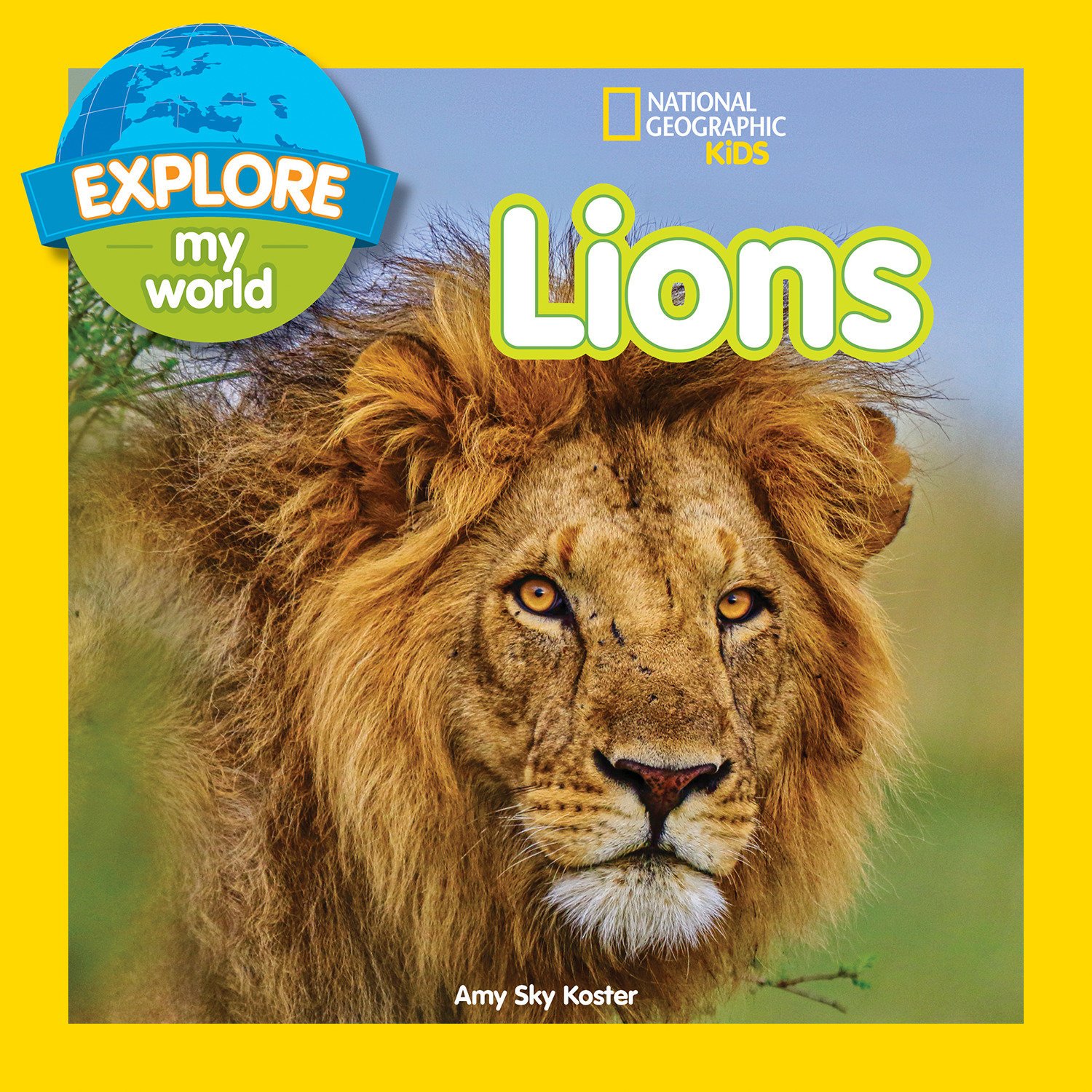 Explore My World: Lions: Koster, Amy Sky: 9781426329883: Amazon.com: Books