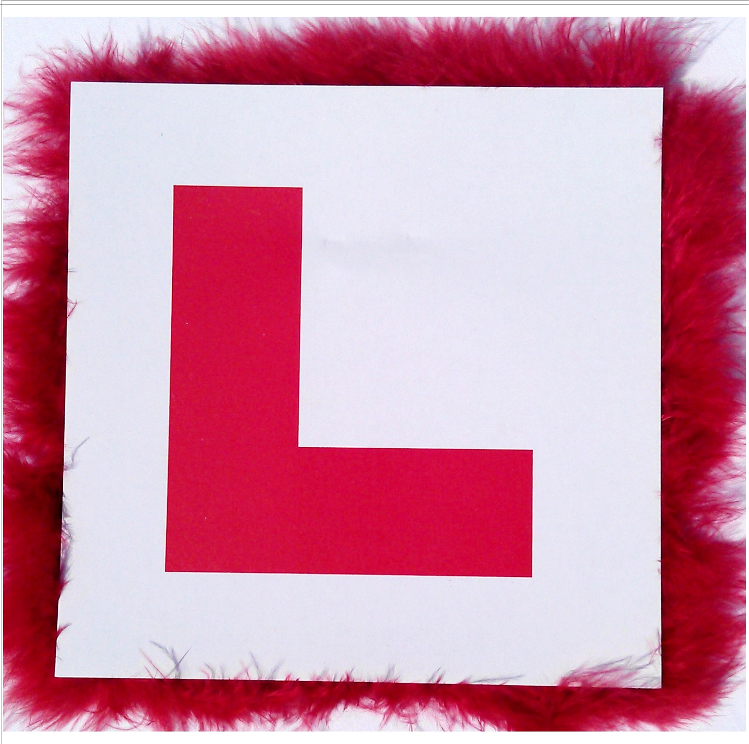 Eurowrap Ladies Night Wedding and Hen Party L Plate Badge. Red Fluffy ...