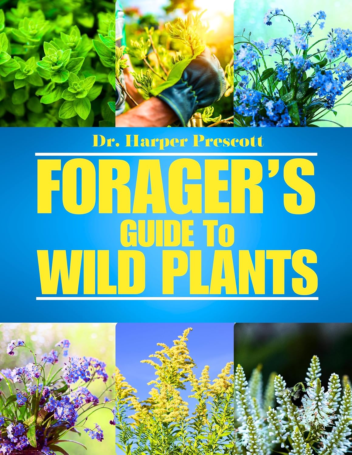 FORAGER’S GUIDE TO WILD PLANTS: A Complete Foraging Bible to Identify ...