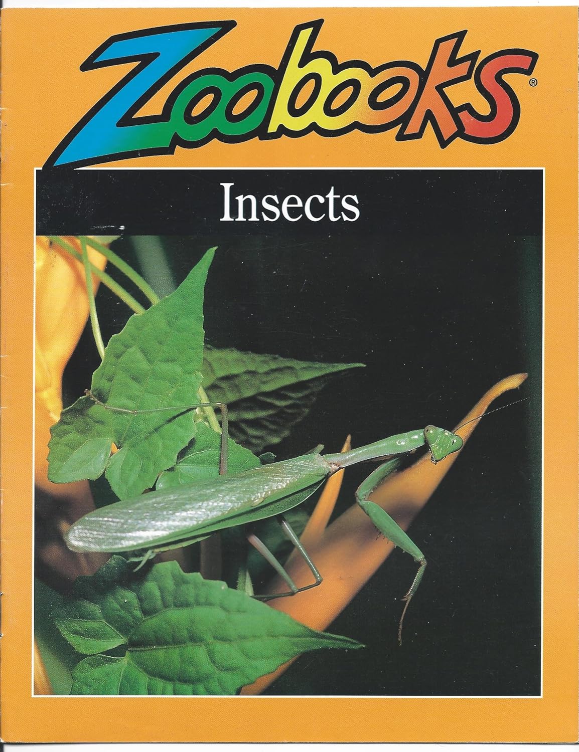 Zoobooks Magazine September 1998 Insects: unknown author: Amazon.com: Books