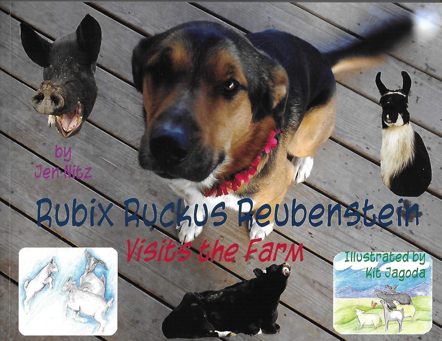 Rubix Ruckus Rebenstein Visits the Farm: Jen Nitz, Jen Nitz;Kit Jagoda ...