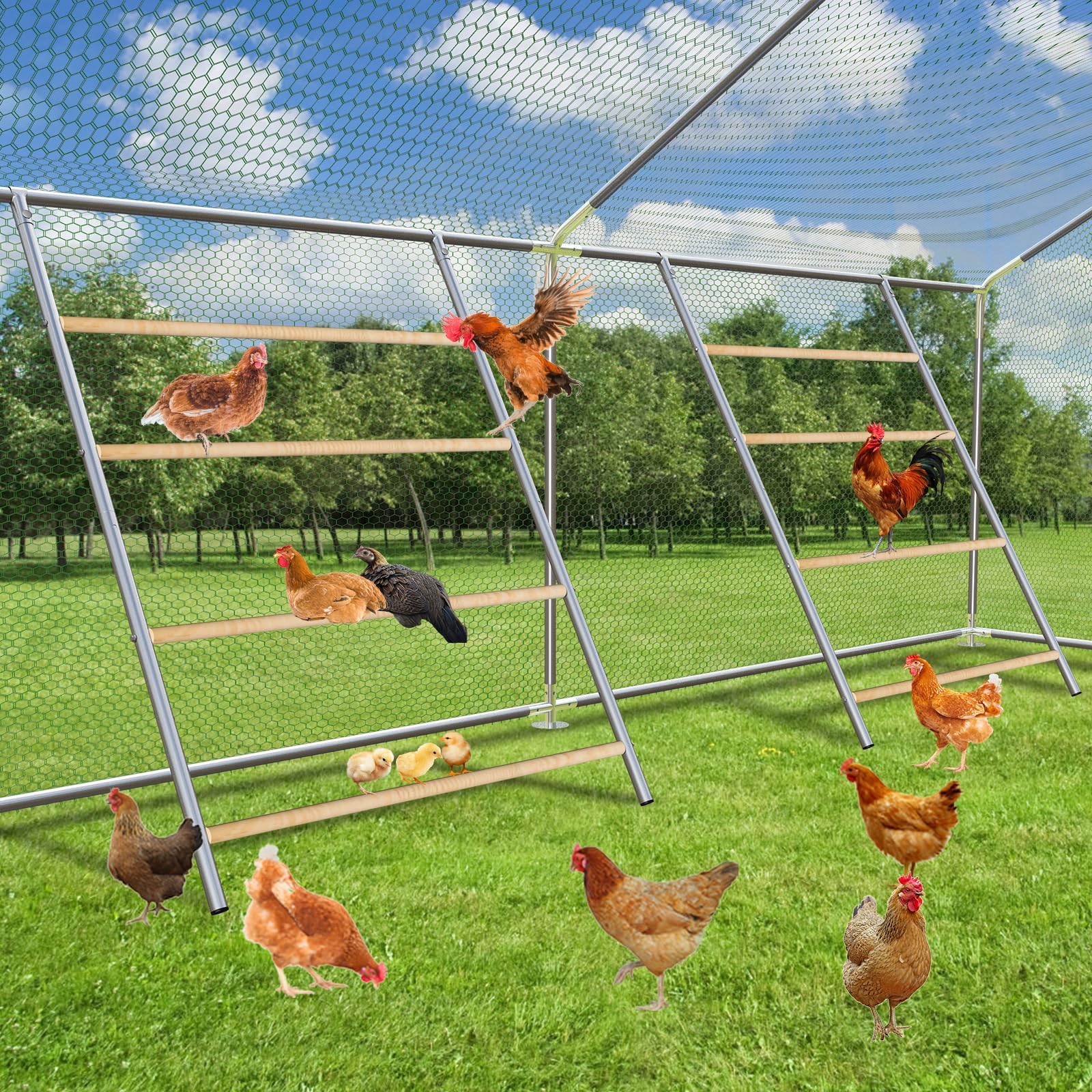Amazon.com: Yeeoy Chicken Perch Stand for Chicken Coop, Chicken ...
