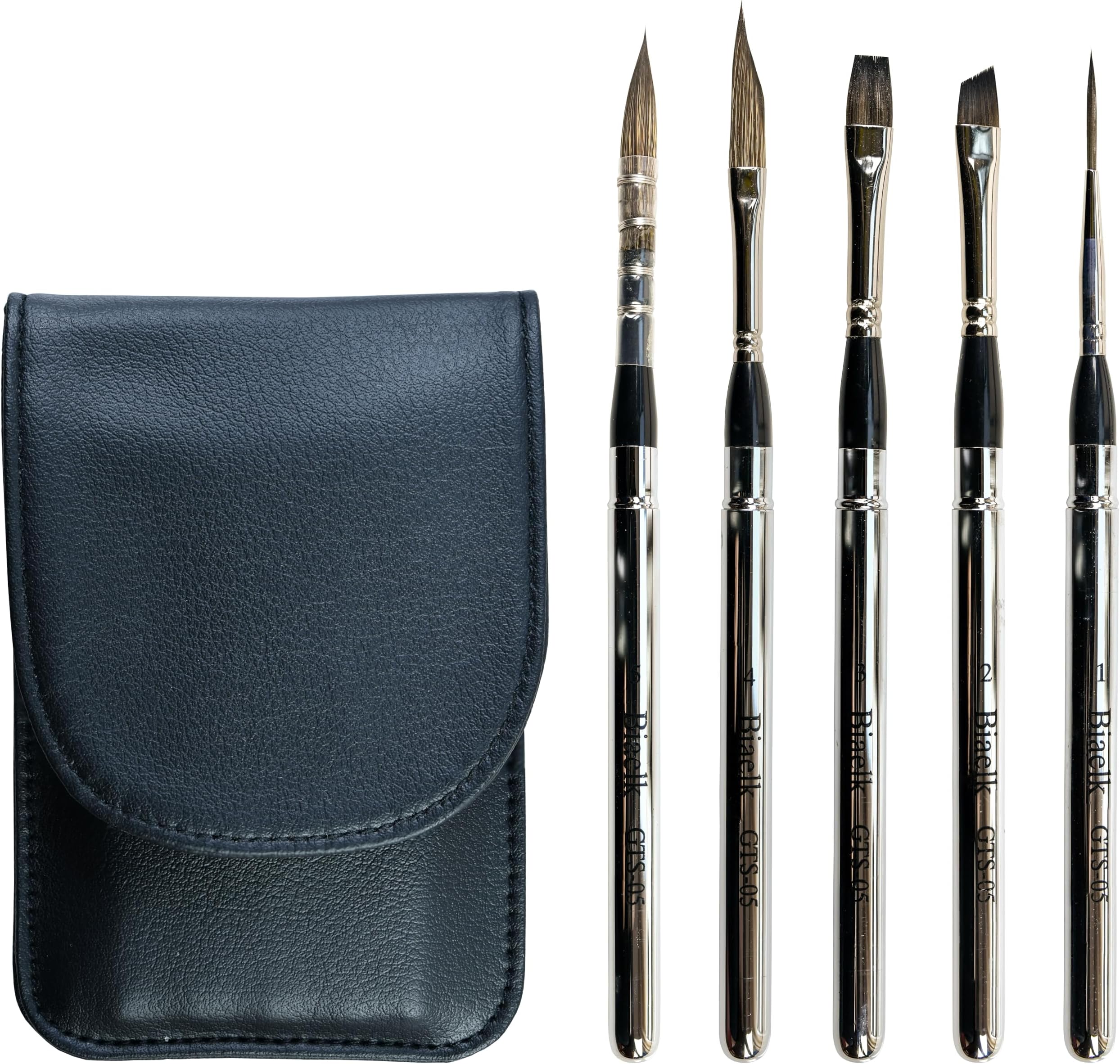 Amazon.com: Biaelk GTS-05 Travel Watercolor Brushes Set,5PCS ...