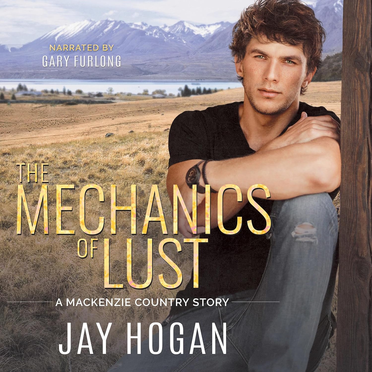 Amazon.com: The Mechanics of Lust: A Mackenzie Country Story (Audible Audio Edition): Jay Hogan ...