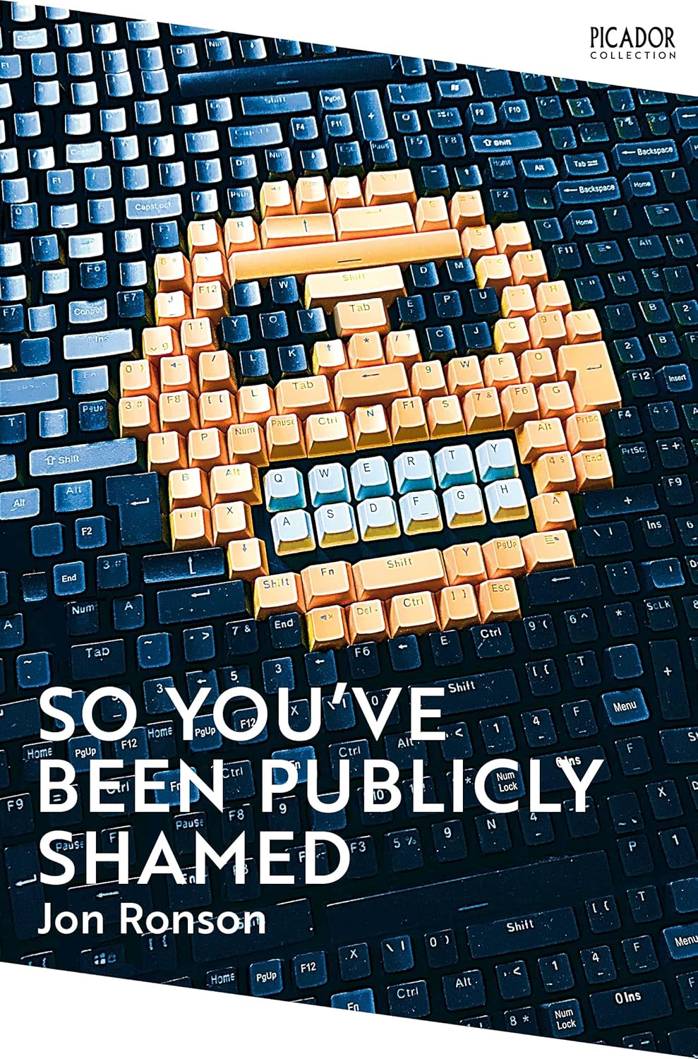 So You've Been Publicly Shamed: Jon Ronson (Picador Collection, 11 ...