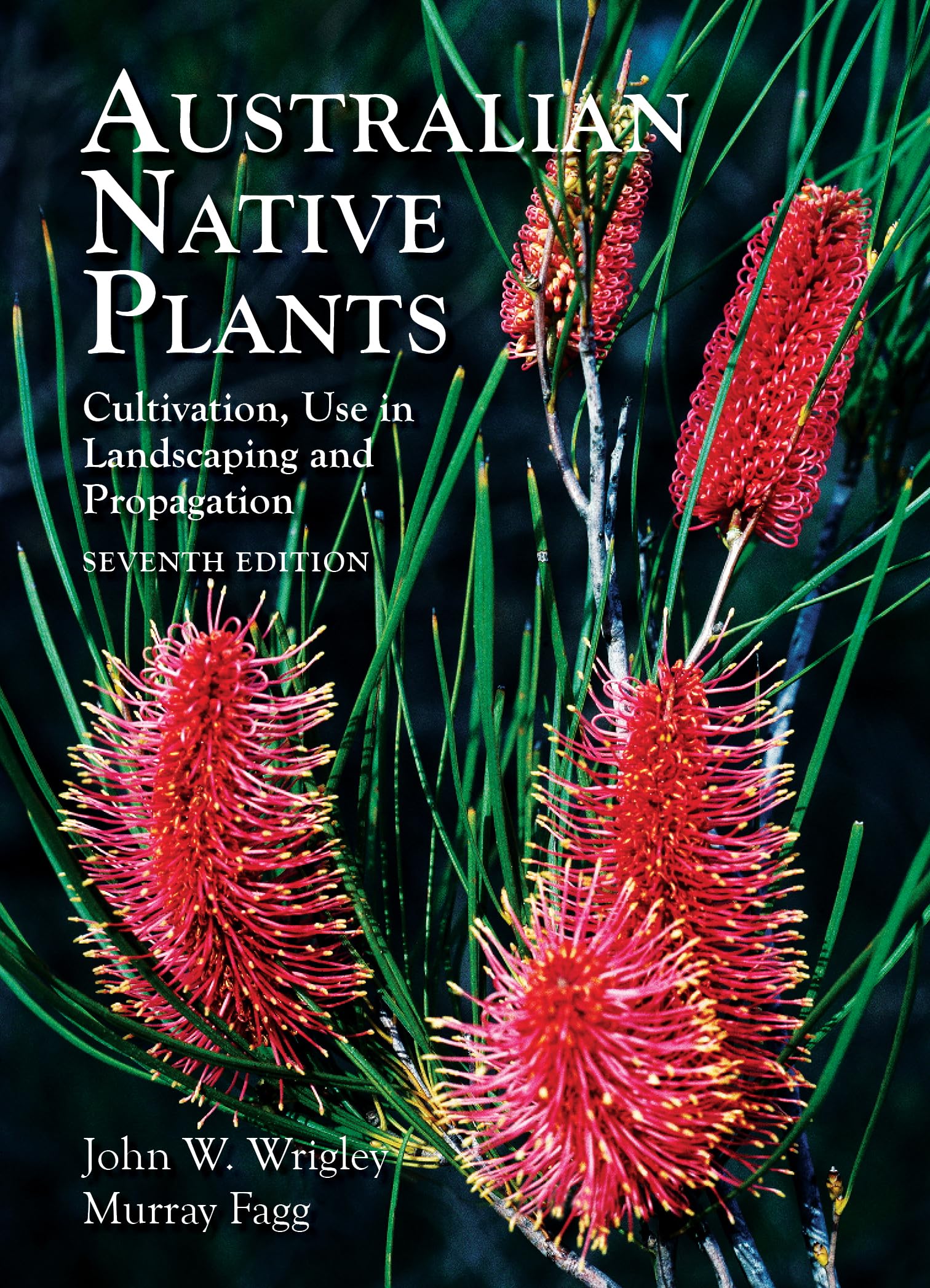 Australian Native Plants 13 Best Australian Native Plants | Experience