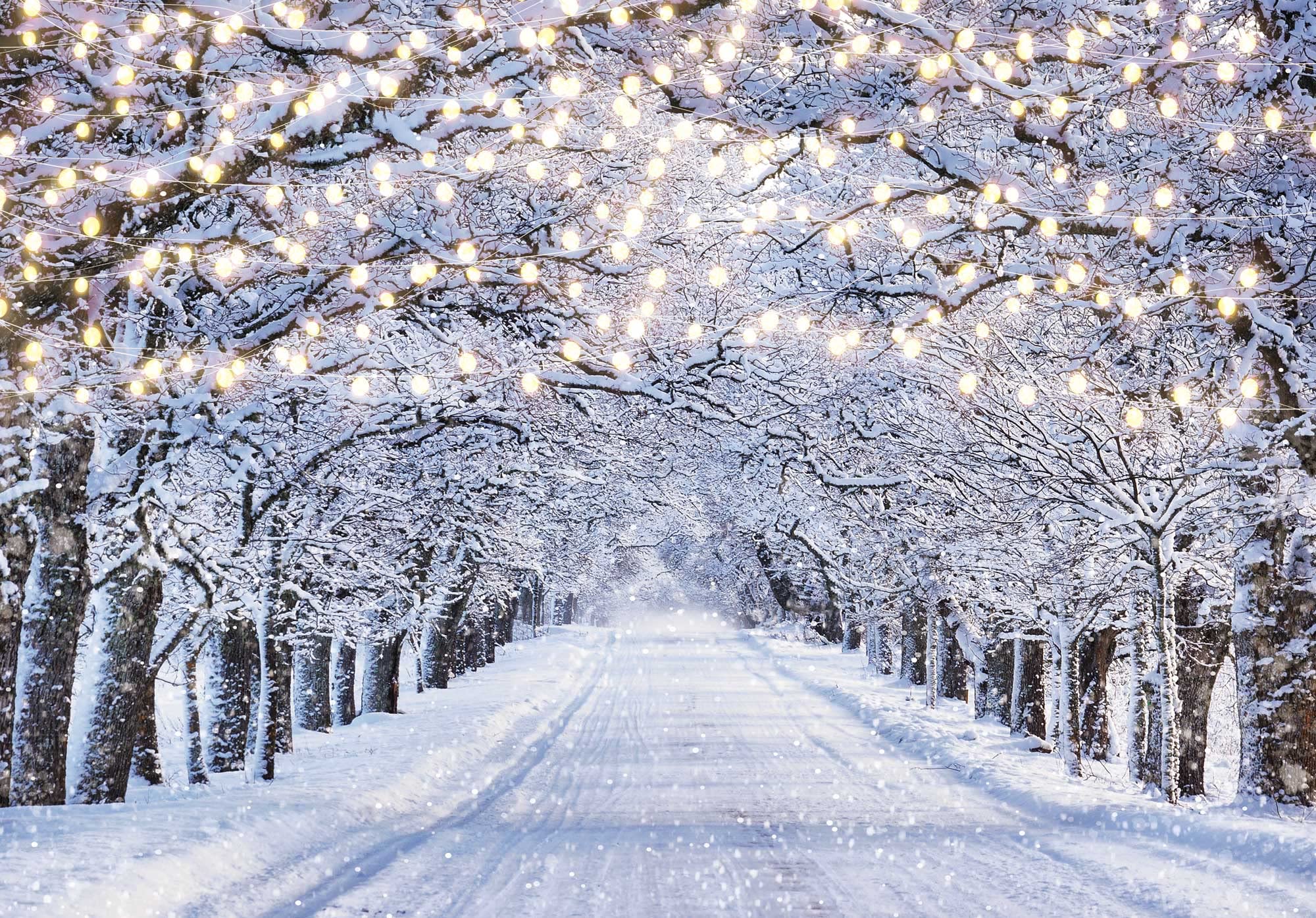 Amazon.com : LIVUCEE 7x5FT Winter Scene Photo Backdrop Wonderland ...