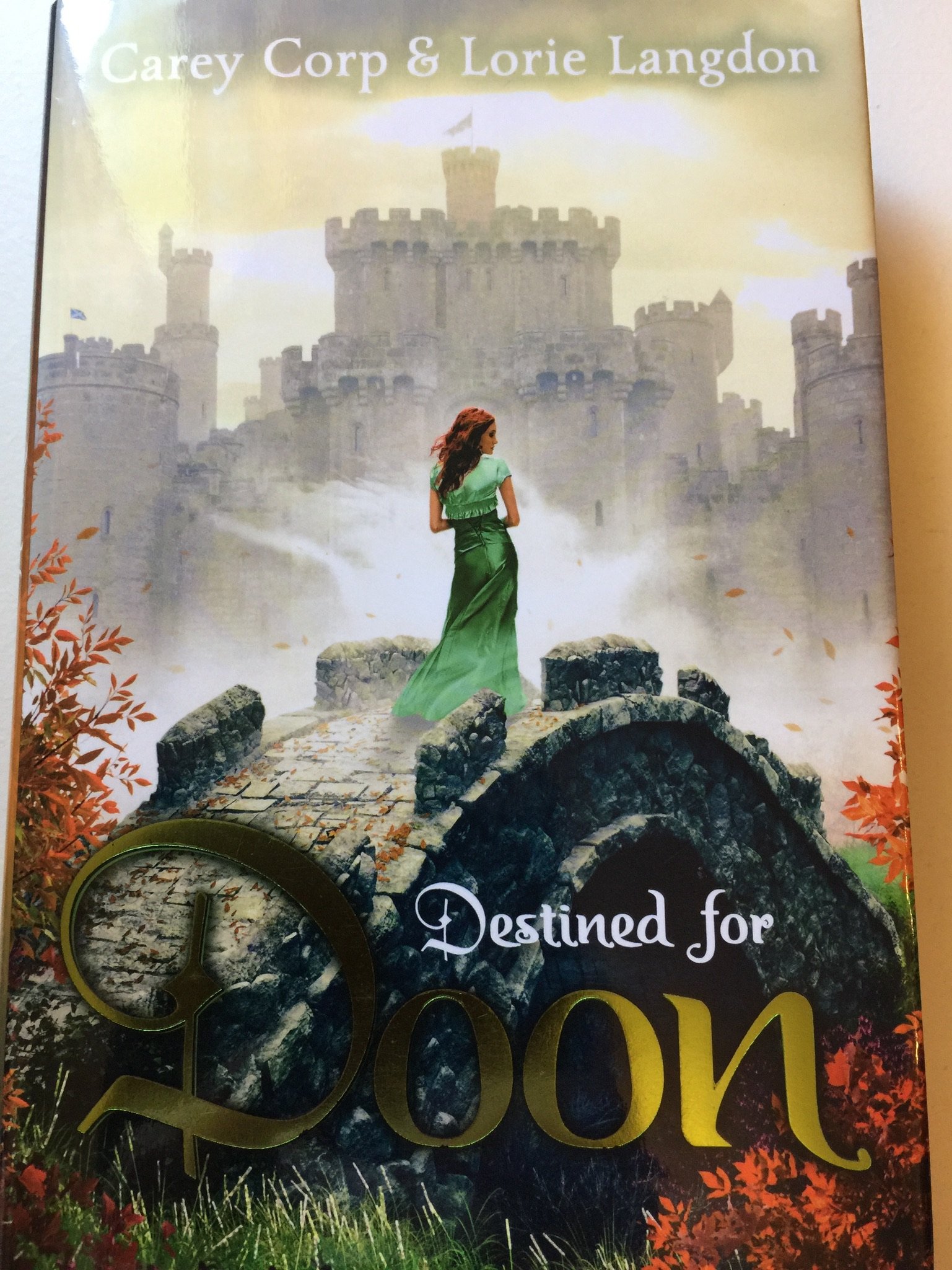 Amazon.com: Destined for Doon (A Doon Novel): 9780310742333: Corp ...