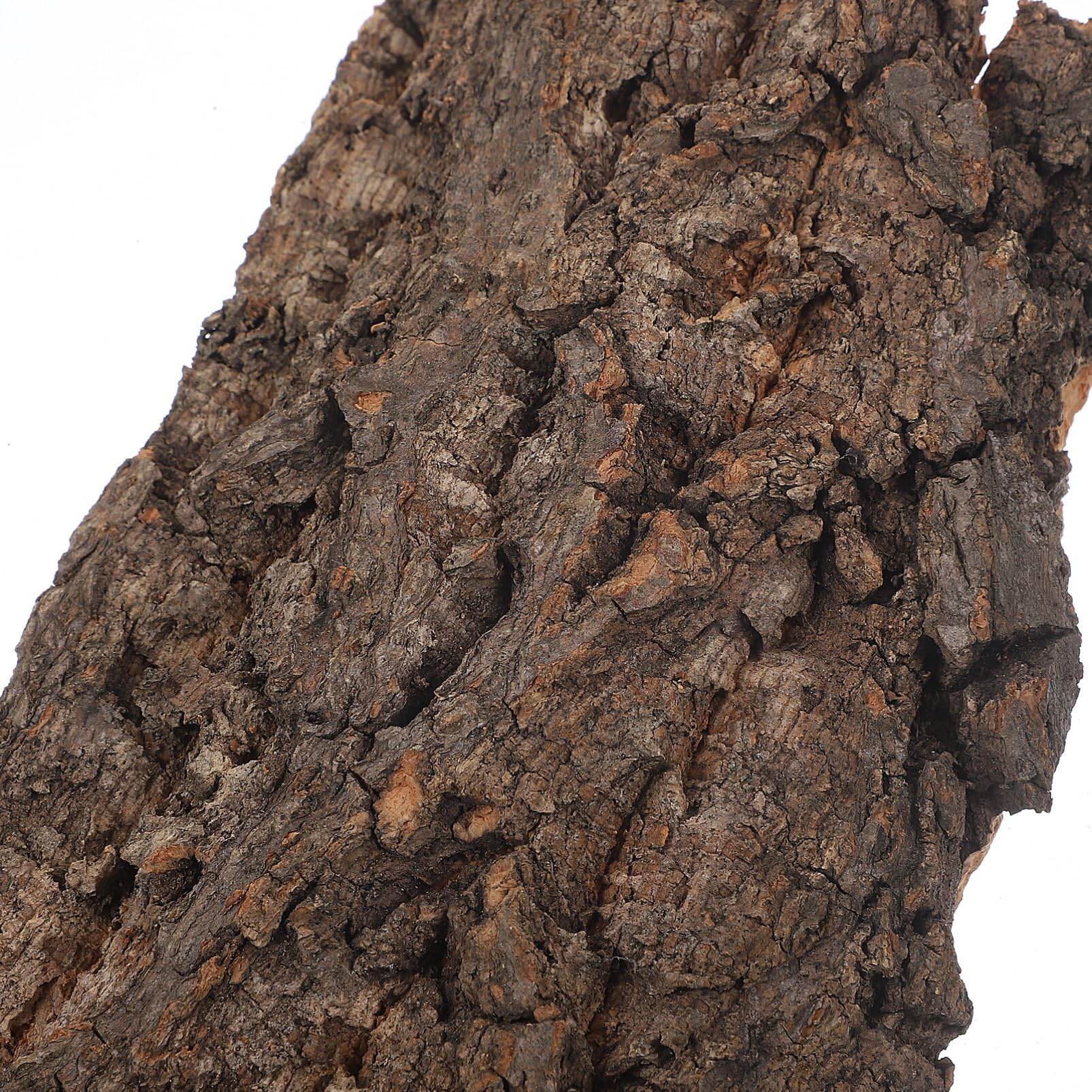 Snapklik.com : 4 PCS Cork Terrarium Background Natural Cork Bark ...