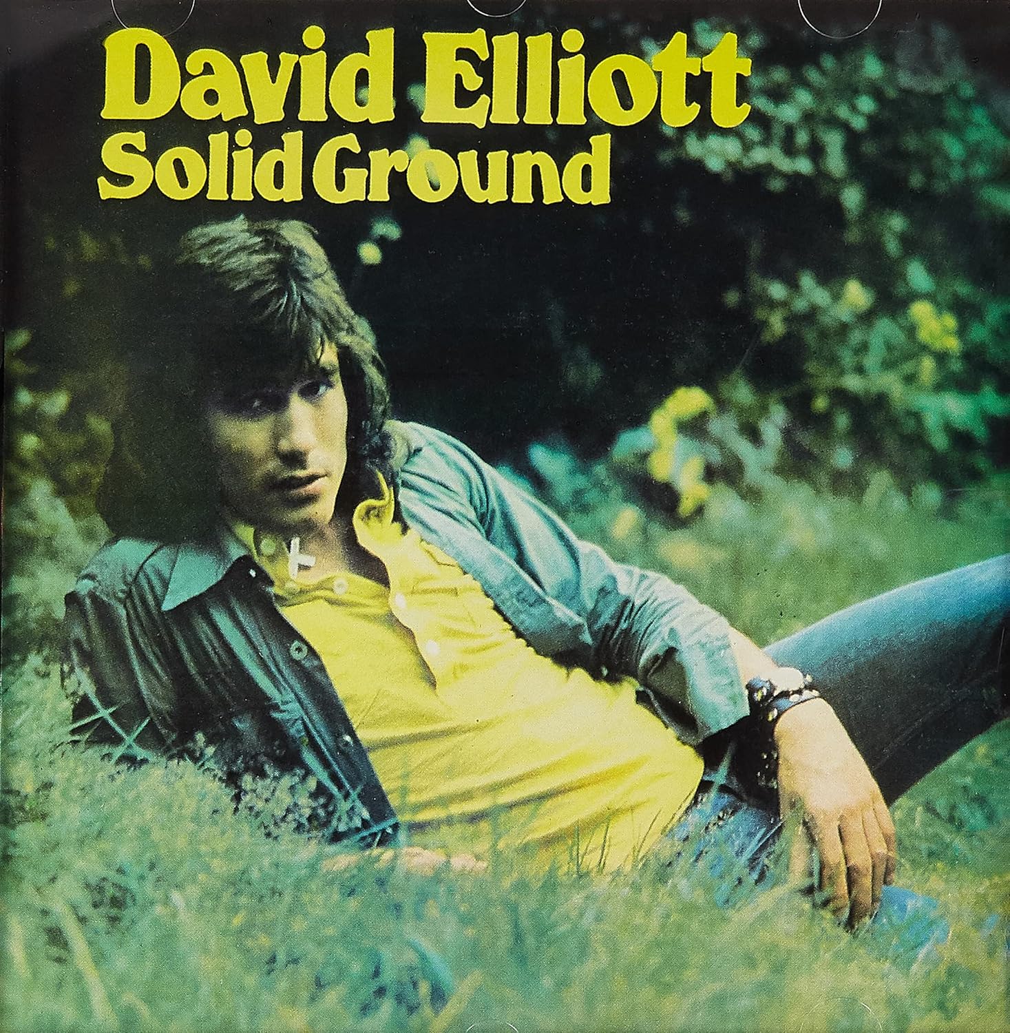 Amazon.co.jp: Solid Ground: ミュージック