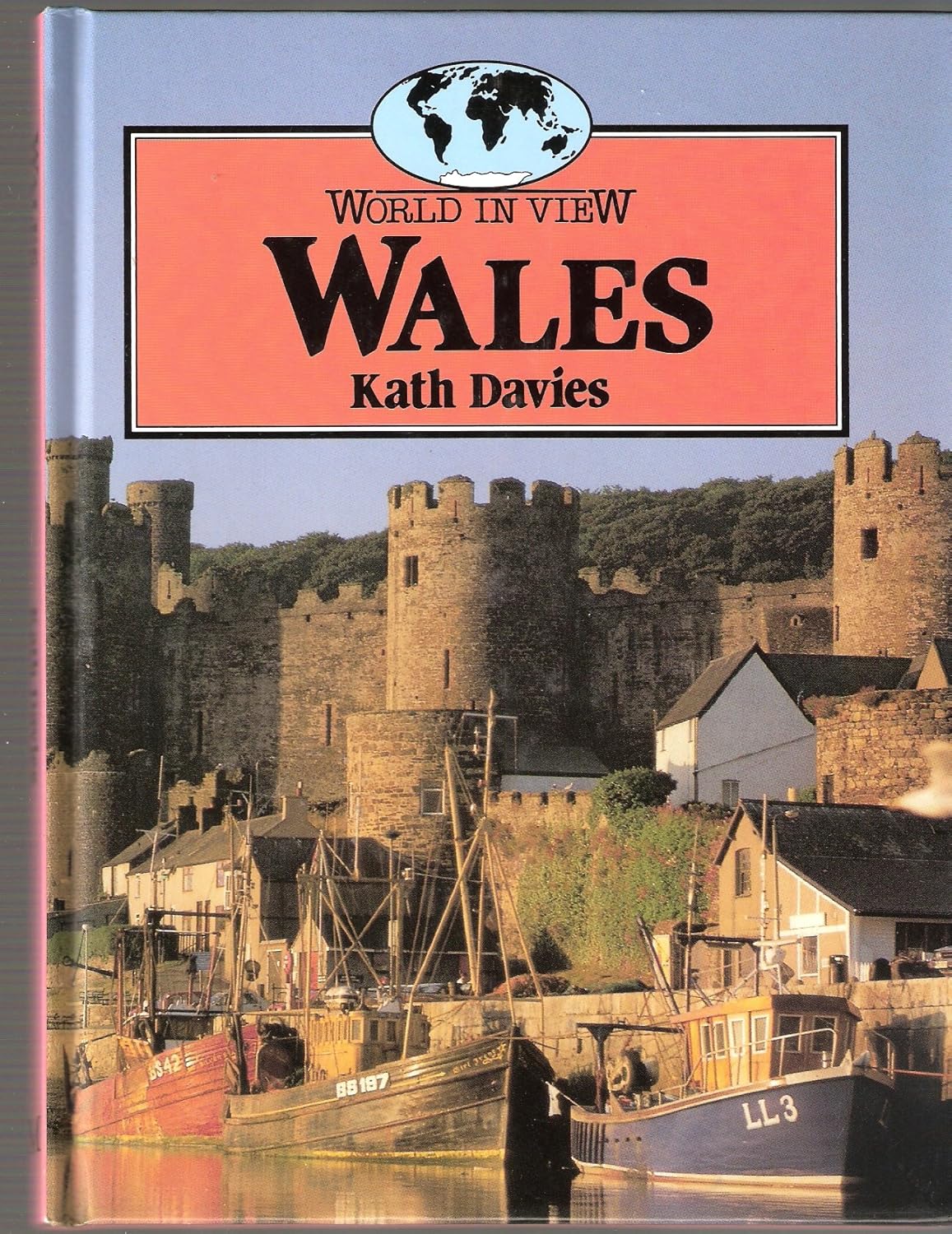 Wales (World in View): Kath Davies: 9780333486443: Amazon.com: Books