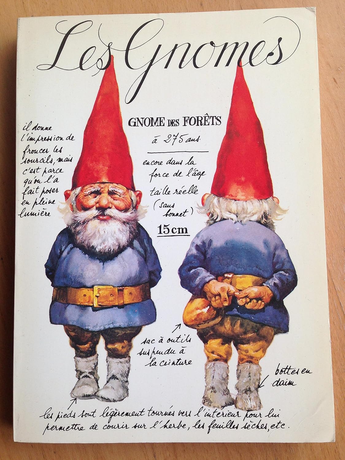 Amazon.com: Les Gnomes: 9782226018786: Wil Huygen, Rien Pooravliet: Books