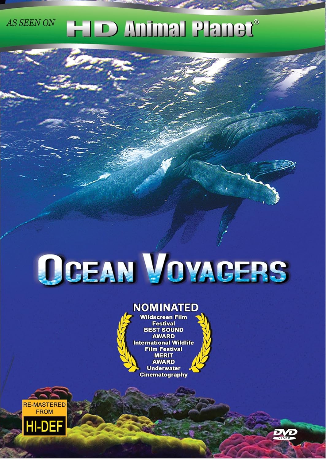 Ocean Voyagers [USA] [DVD]: Amazon.es: Películas y TV