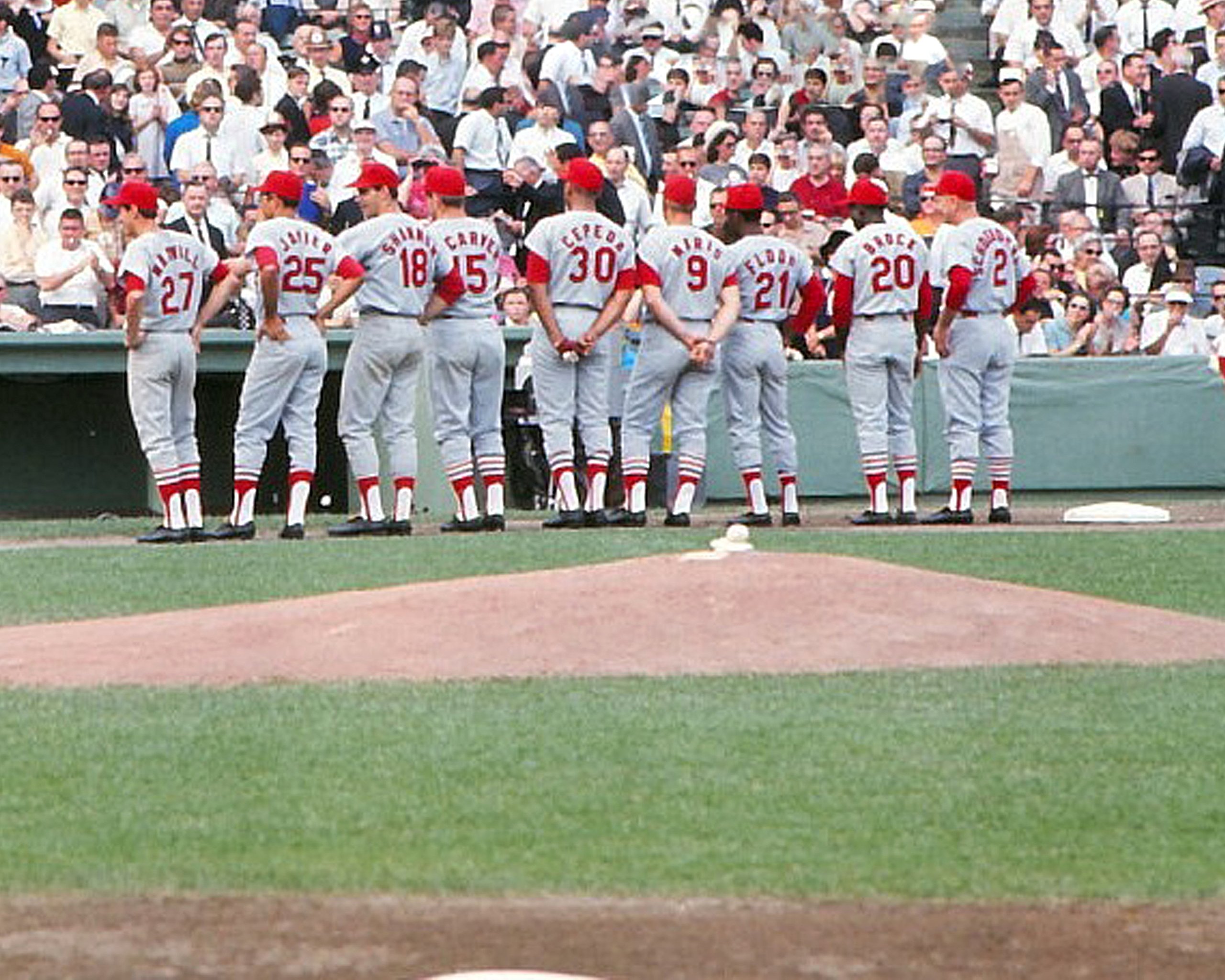 St Louis Cardinals World Series Wallpaper Amazon.com : Legends Never