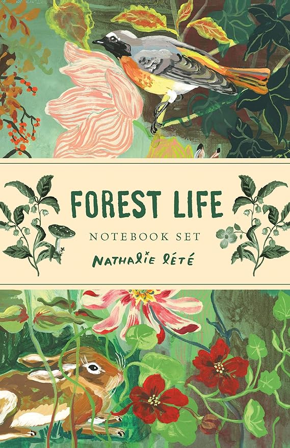 Amazon.com : Forest Life Notebook Set: (Cute Office Supplies, Cute Desk ...