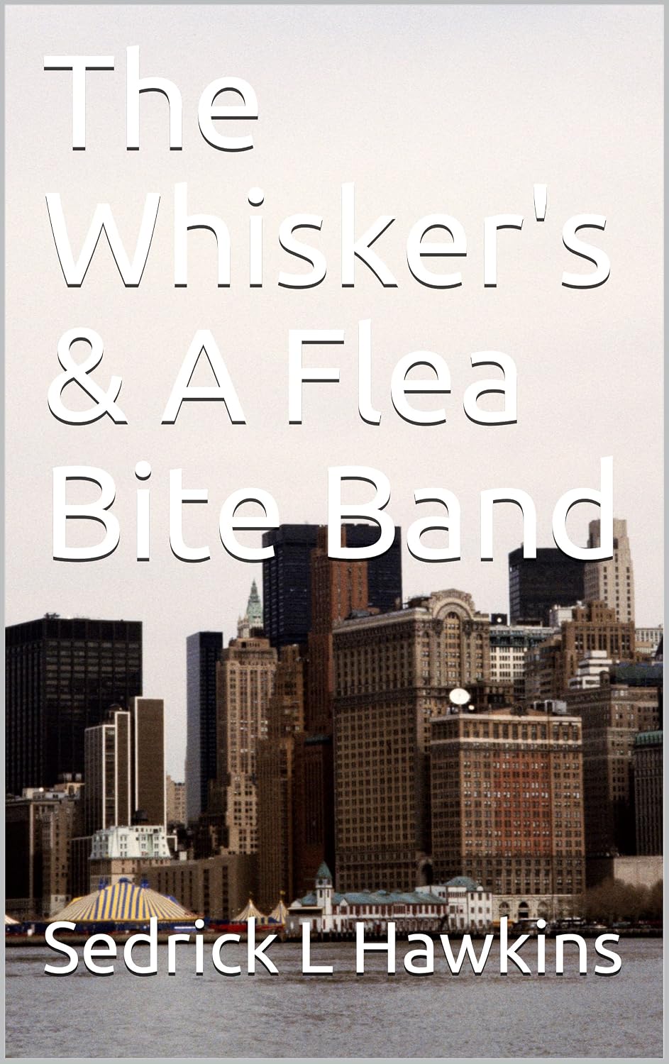 The Whisker's & A Flea Bite Band: StorytellerUK2019 - Kindle edition by ...