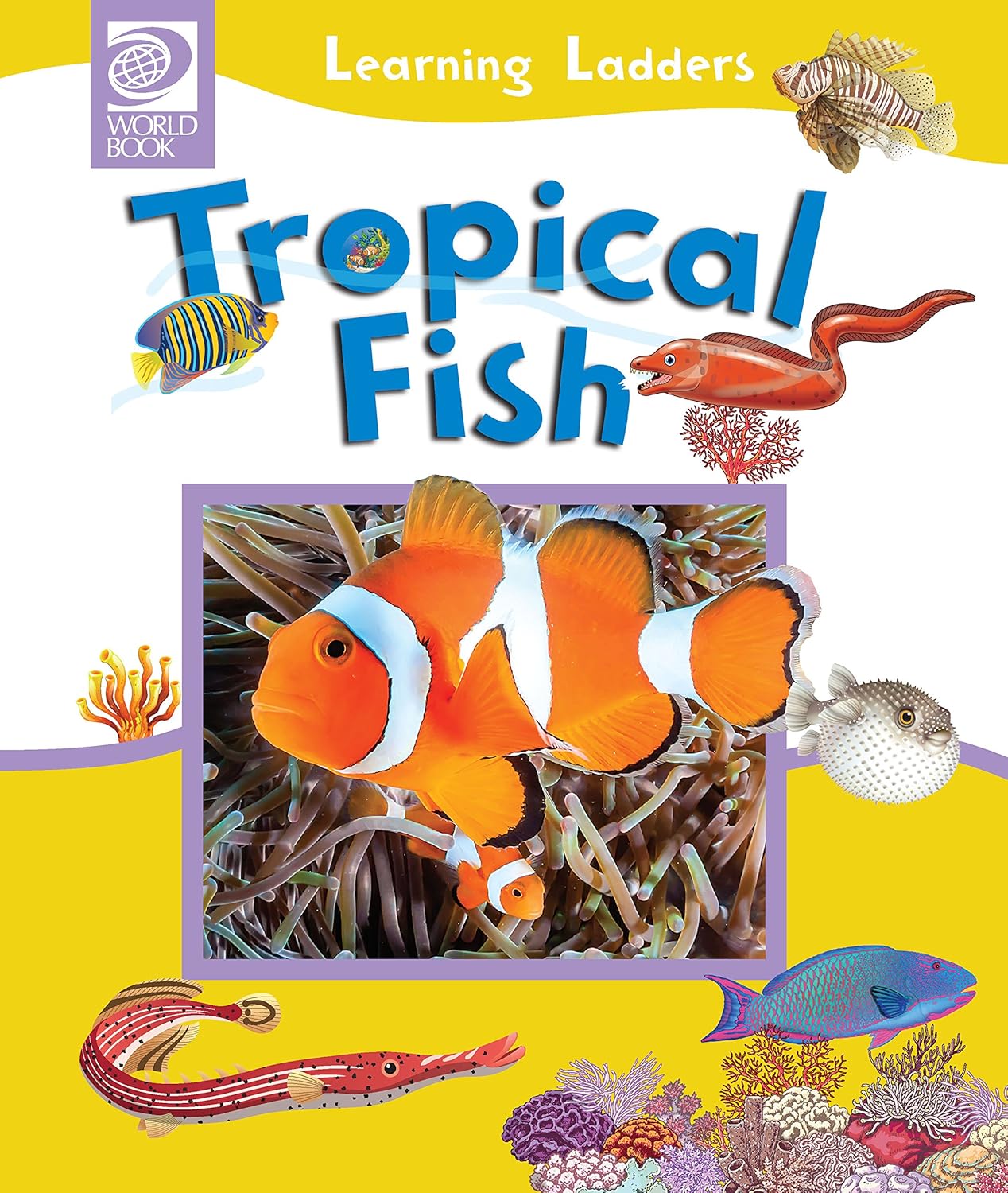 Tropical Fish (Learning Ladders Book 3) eBook : Muntz, Kendra, Brennan ...