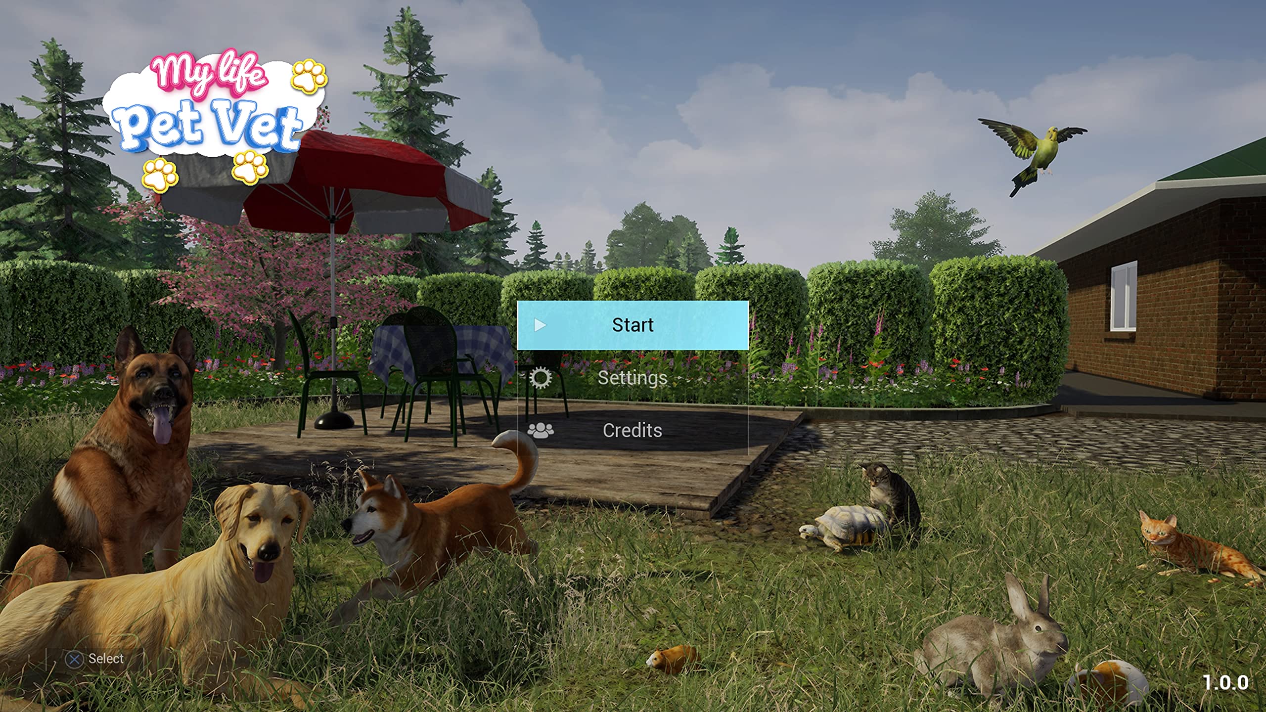 Snapklik.com : My Life: Pet Vet