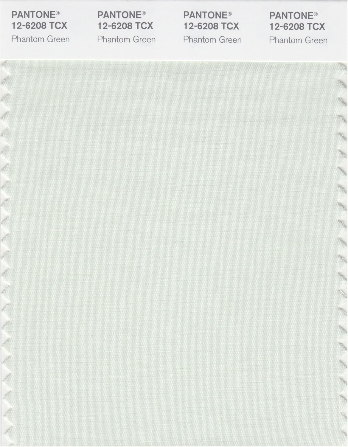 PANTONE Smart 12-6208X Color Swatch Card, Phantom Green - House Paint ...