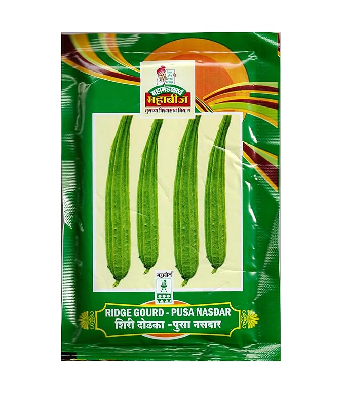 Buy Ridge Gourd (Turai/Dodka) Seeds Pusa Nasadar Variety KGP 50gm (Pack ...