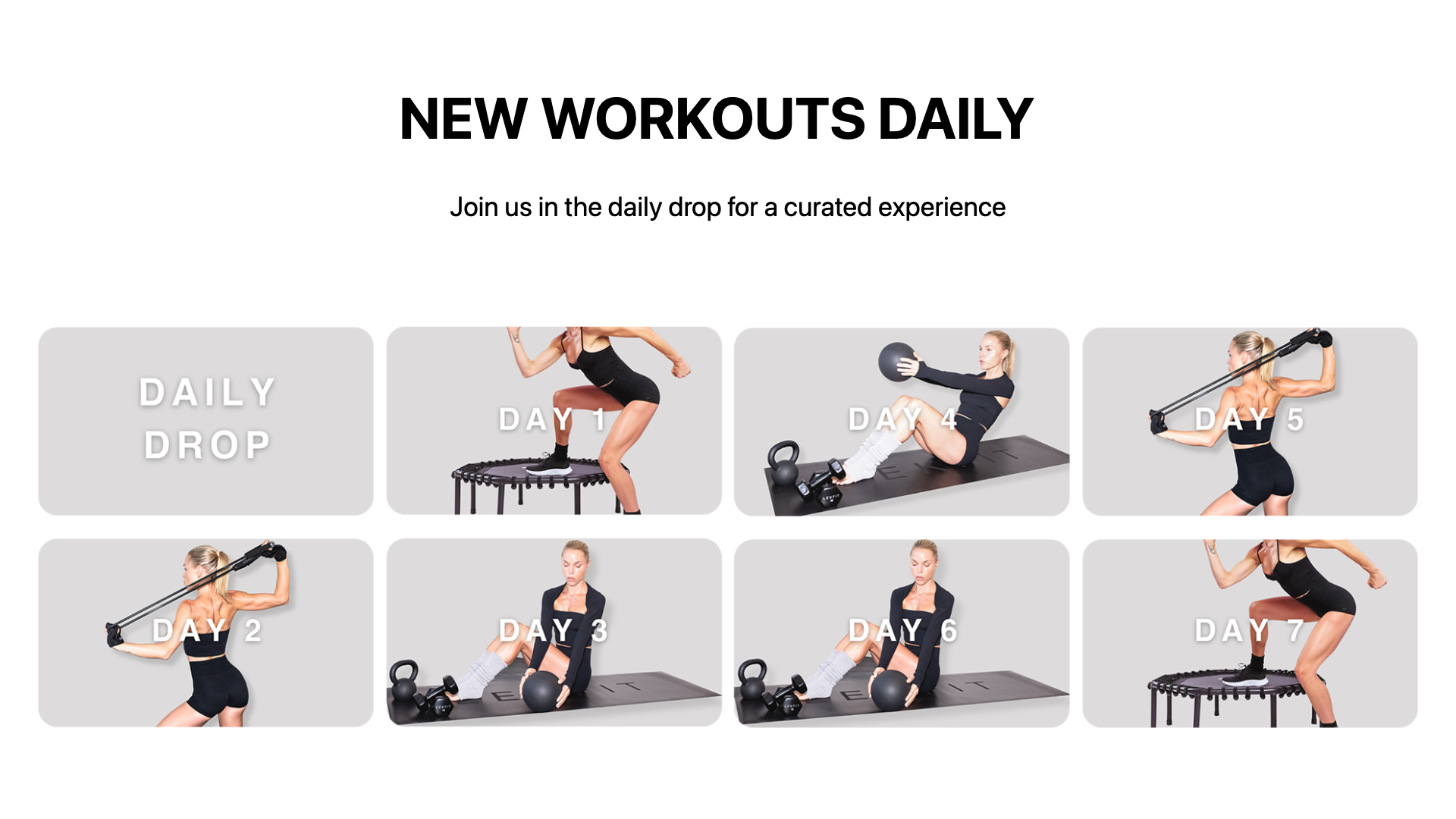 LEKFIT online studio - App on Amazon Appstore