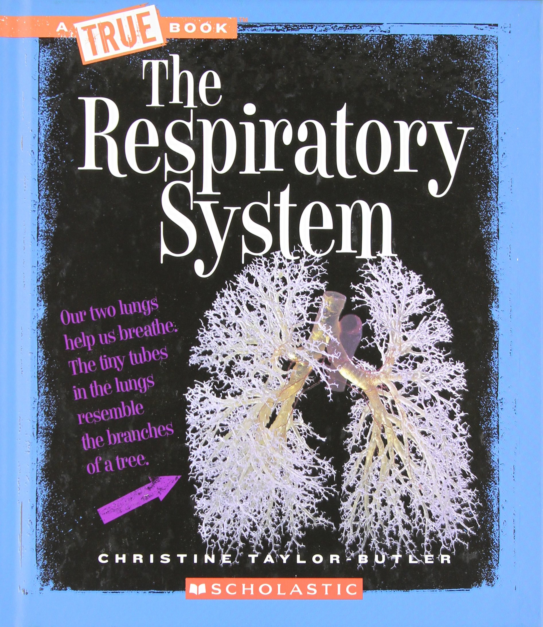 Buy The Respiratory System (True Book: and the Human Body) (Library ...