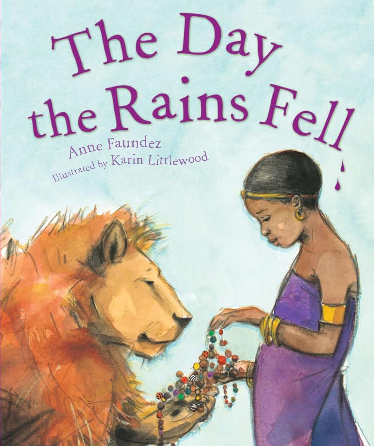 The Day the Rains Fell: Faundez, Anne, Littlewood, Karin: 9781848530157 ...
