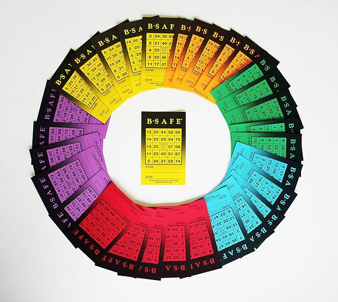 Amazon.com : B-Safe Safety Bingo Cards - Pack of 600 : Toys & Games