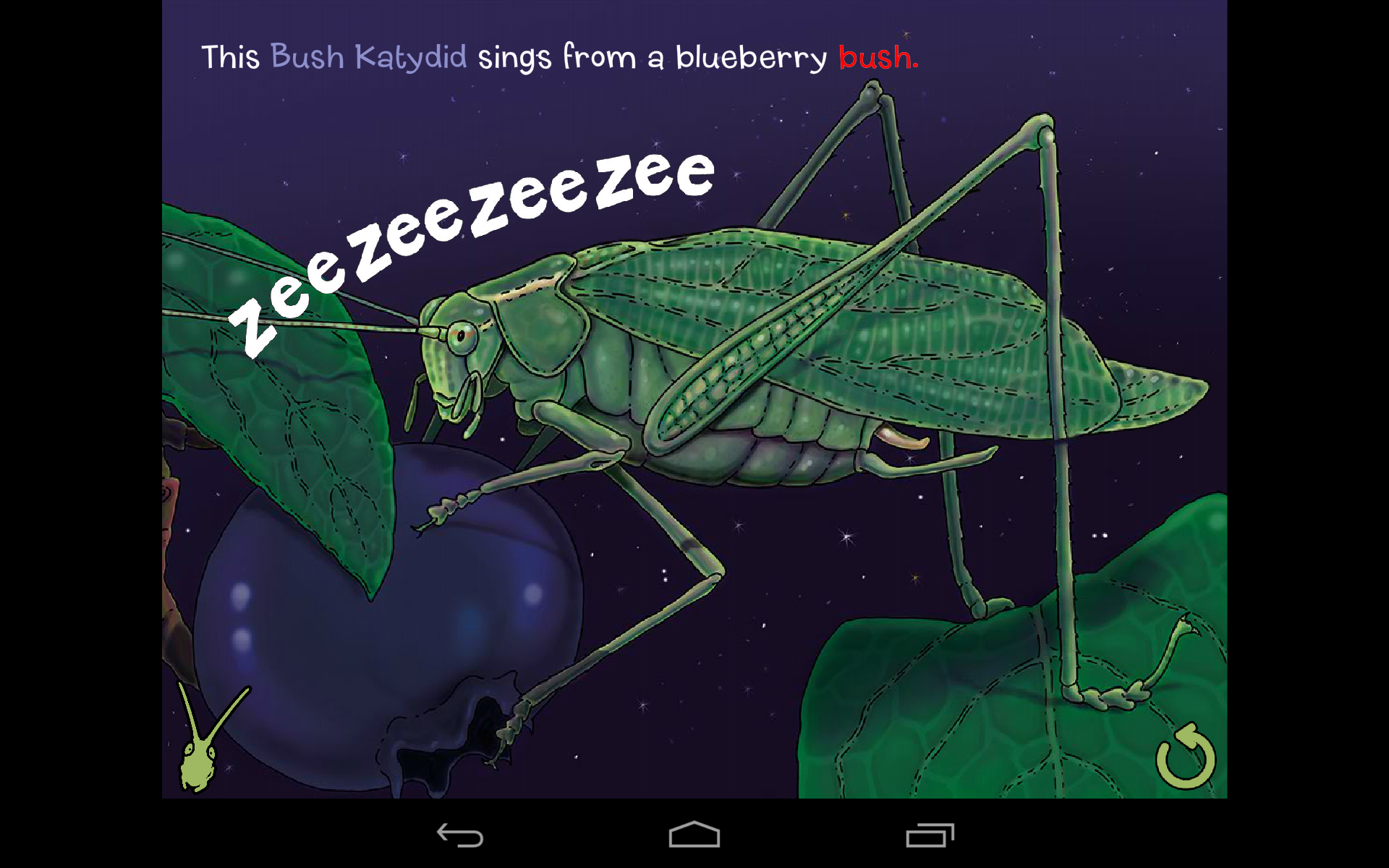 Noisy Bug Sing Along:Amazon.de:Appstore for Android