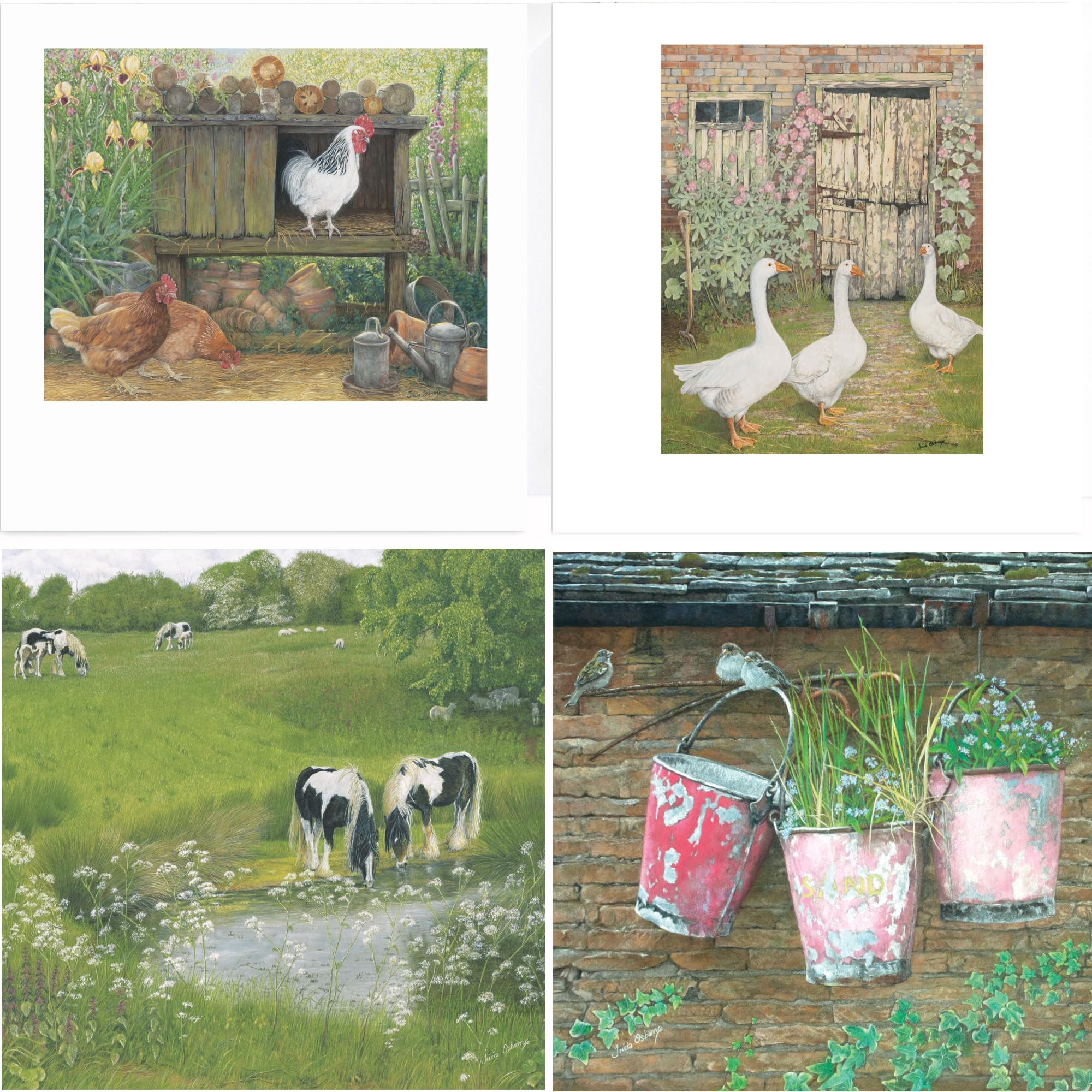 Rural Greeting Cards with Farm Animals, Set of 8 different Card Designs ...