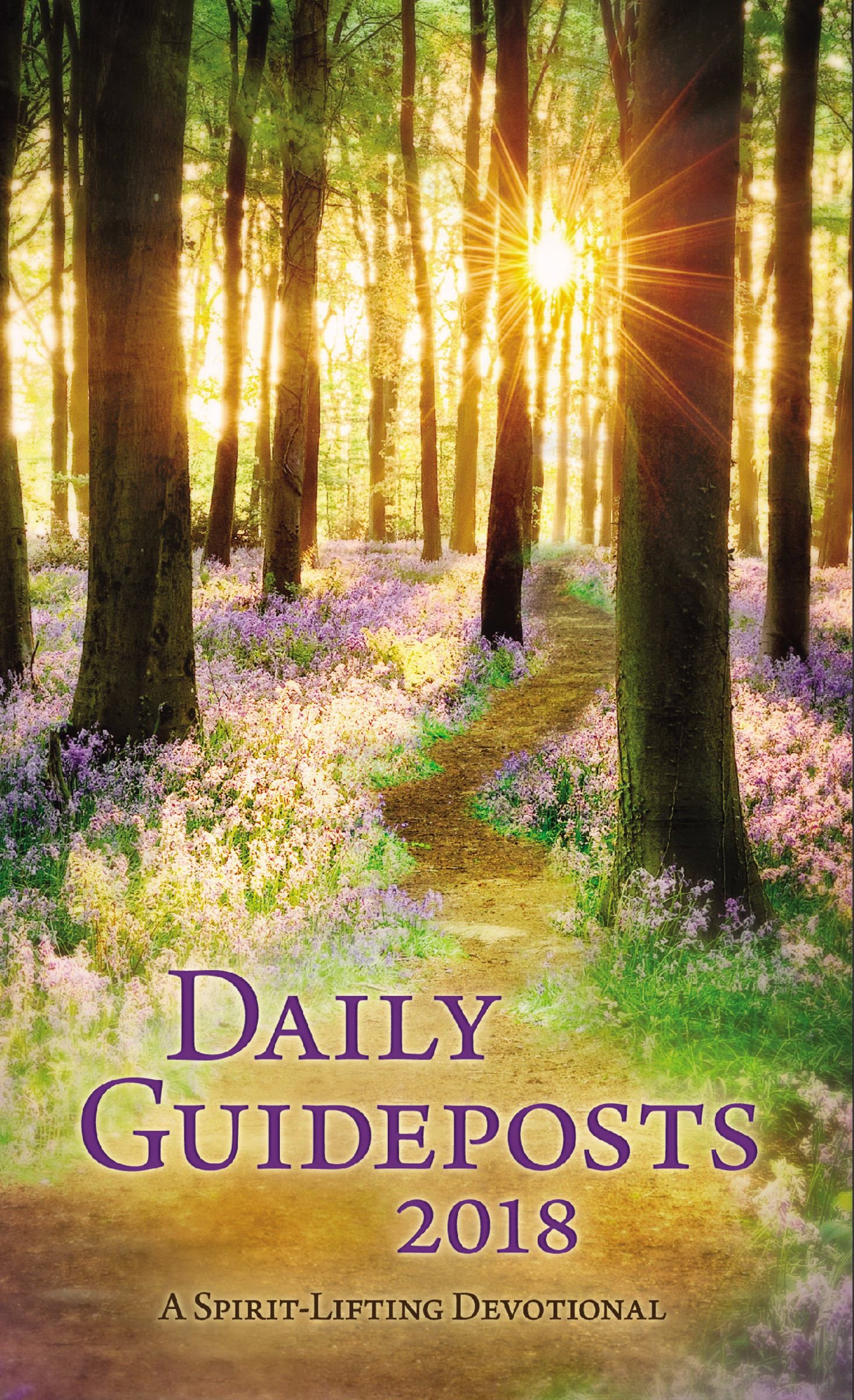 Daily Guideposts 2018 Large Print: A Spirit-Lifting Devotional ...